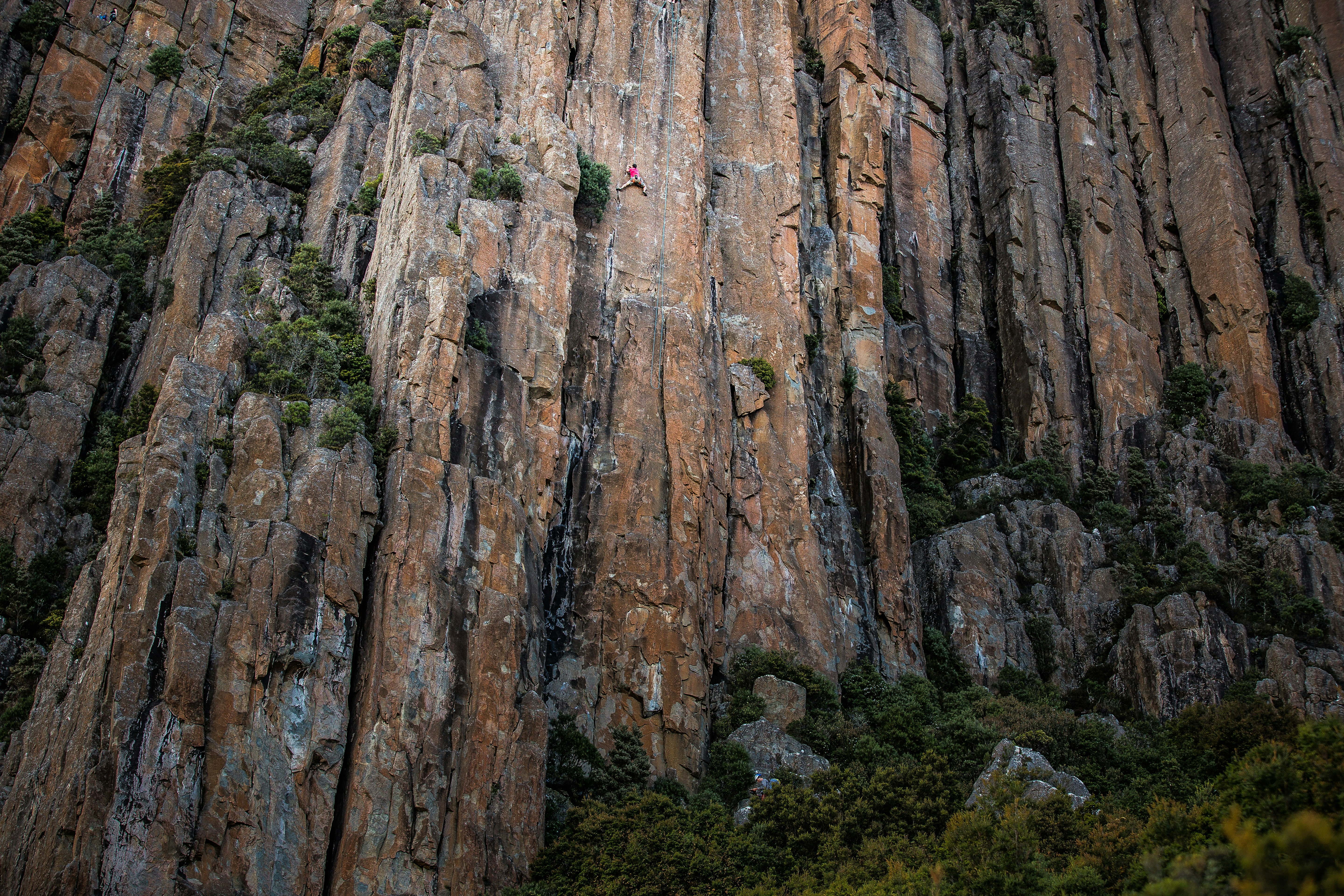 Cliff Faces and Sparse Flora: A Vertical Rock Cathedral