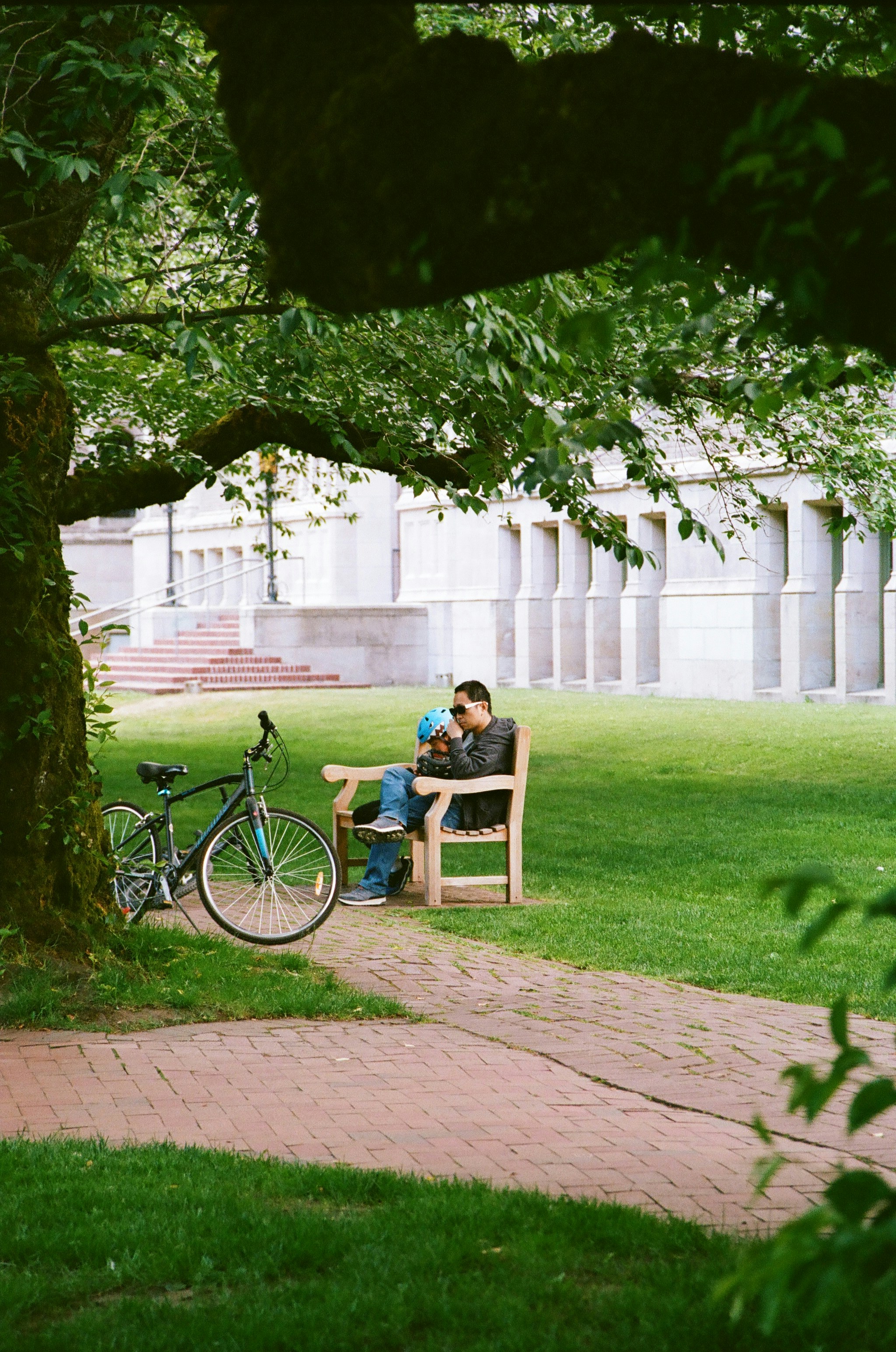 Benchside Kiss: A Quiet Moment Beneath the Canopy