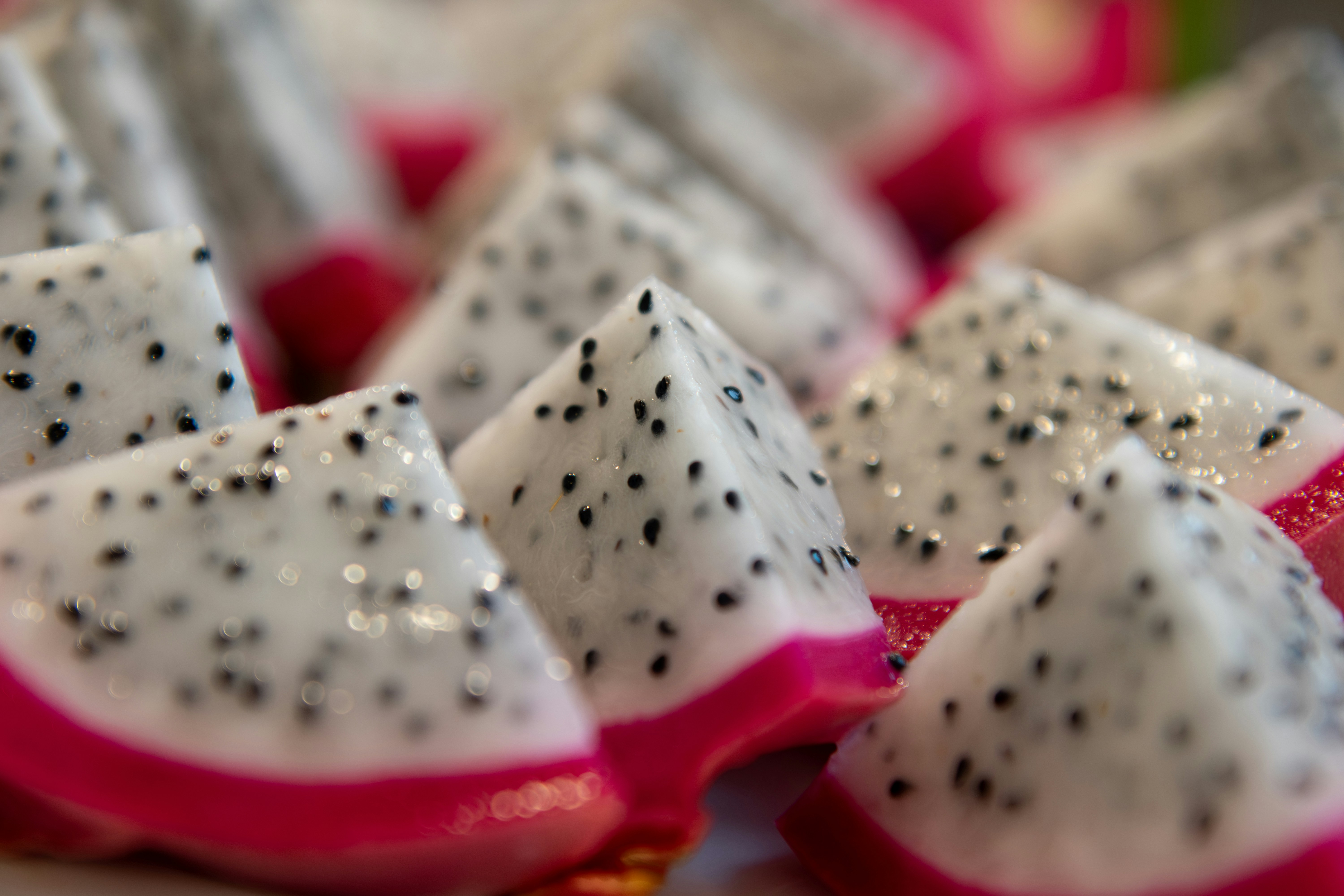 Photo by Jacek Pobłocki with Nikon D5600