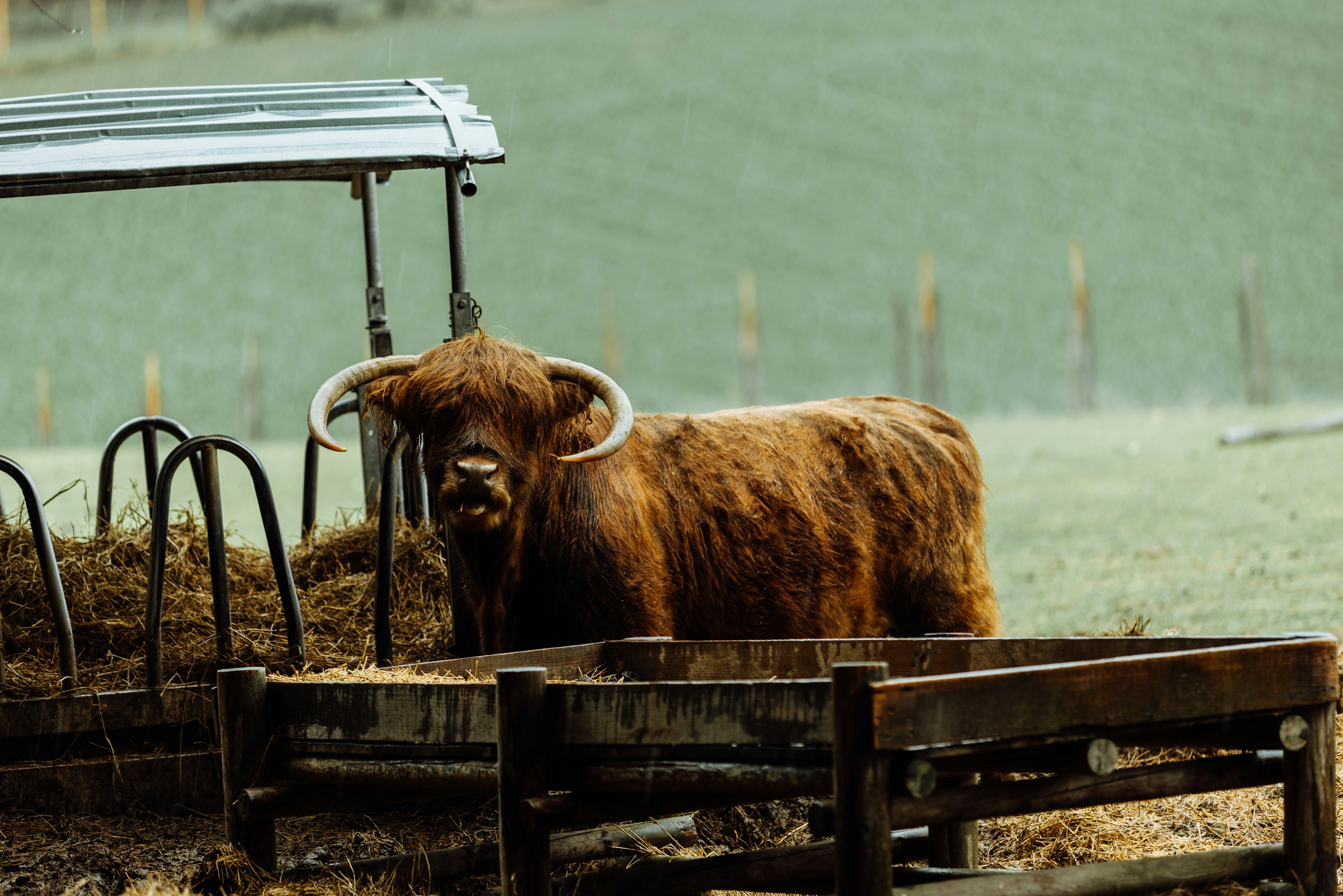 Photo by Florian Schindler with Canon EOS R5