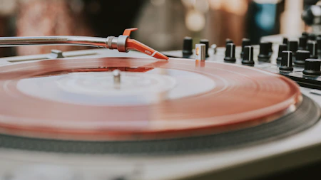 Rhythmic Reverberations: The Art of Vinyl