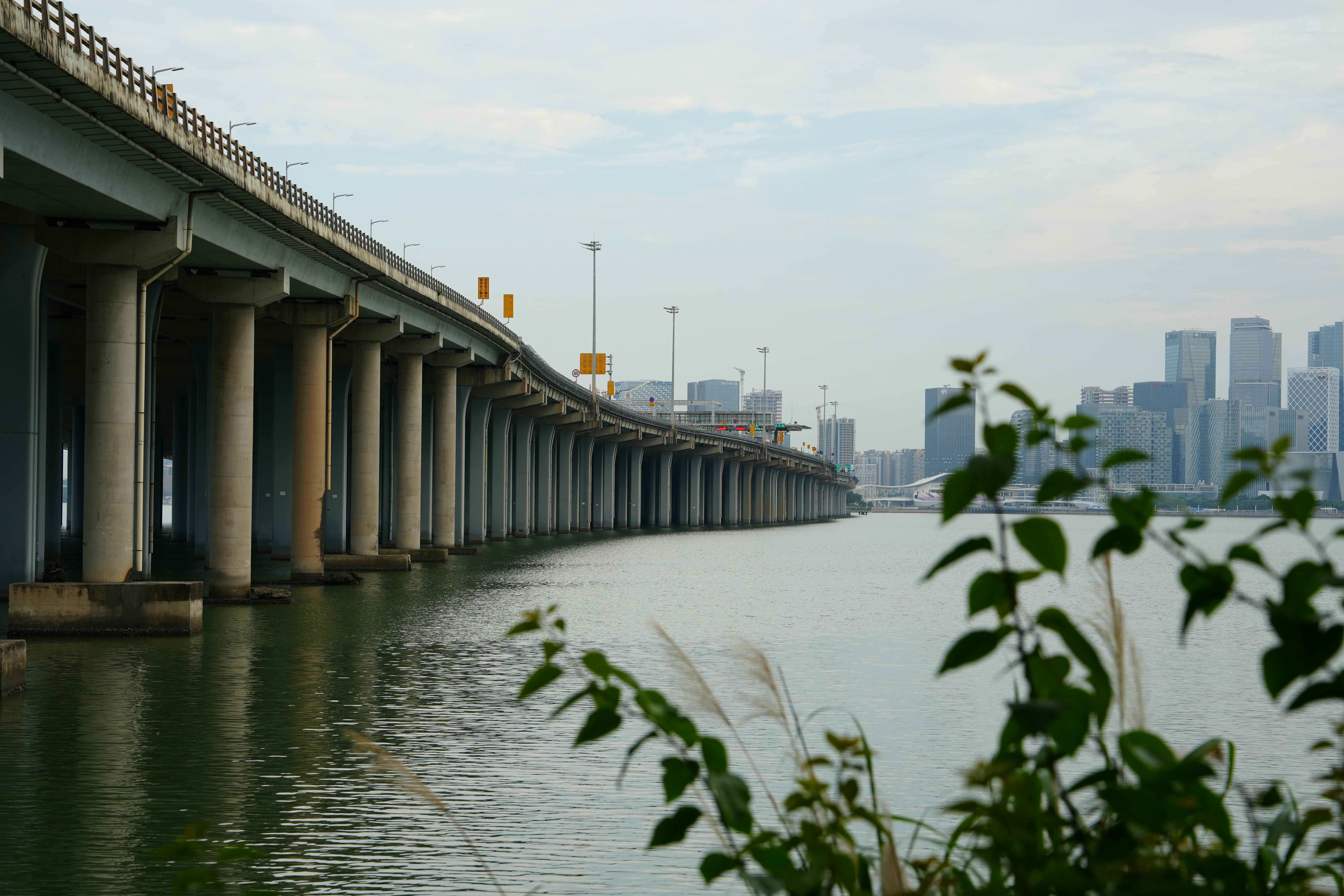 A modern bridge stretches over calm waters, framed by lush greenery and a distant skyline of skyscrapers. The scene captures the harmony between nature and urban architecture.