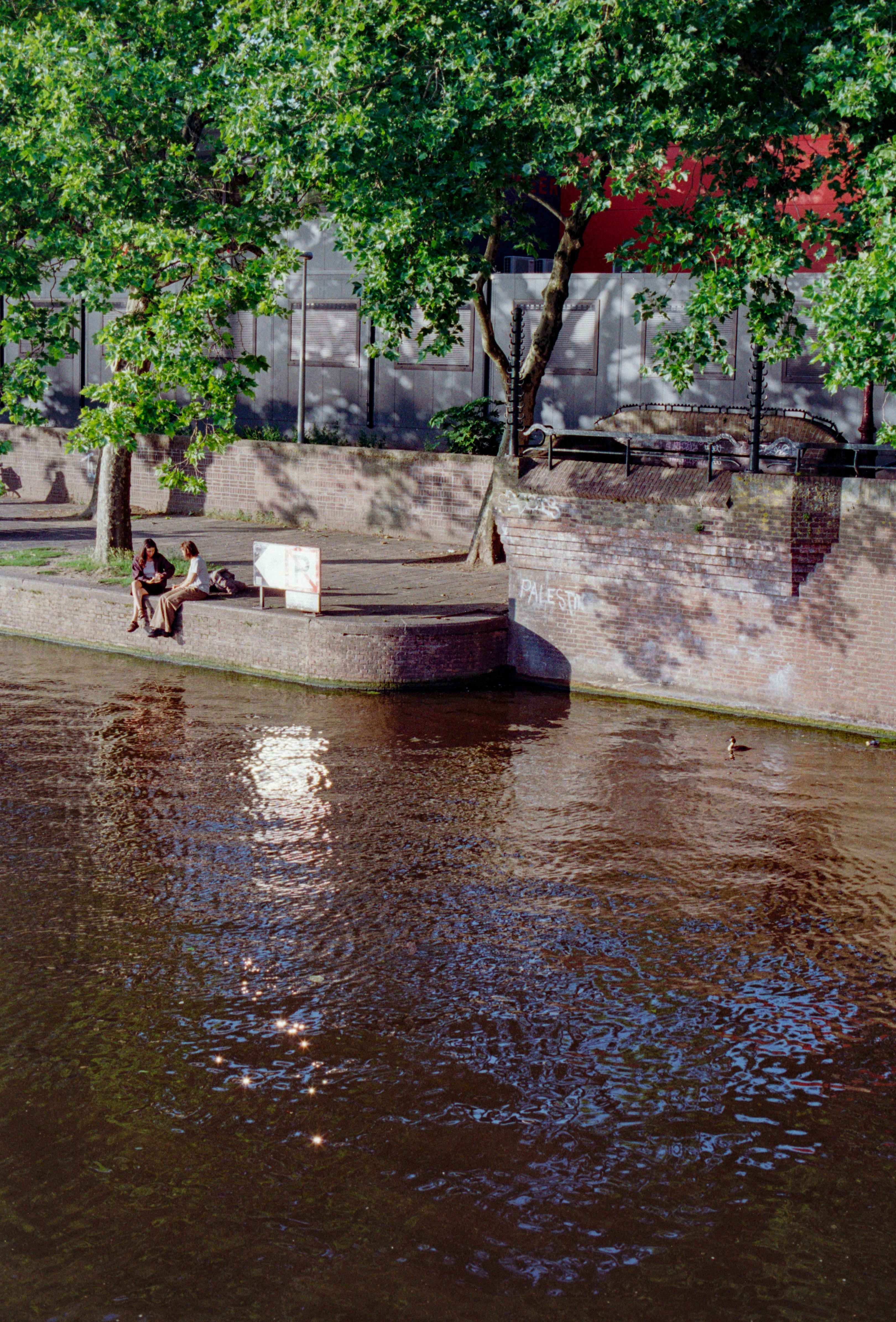 Canal Edge Conversation Beneath a Green Canopy