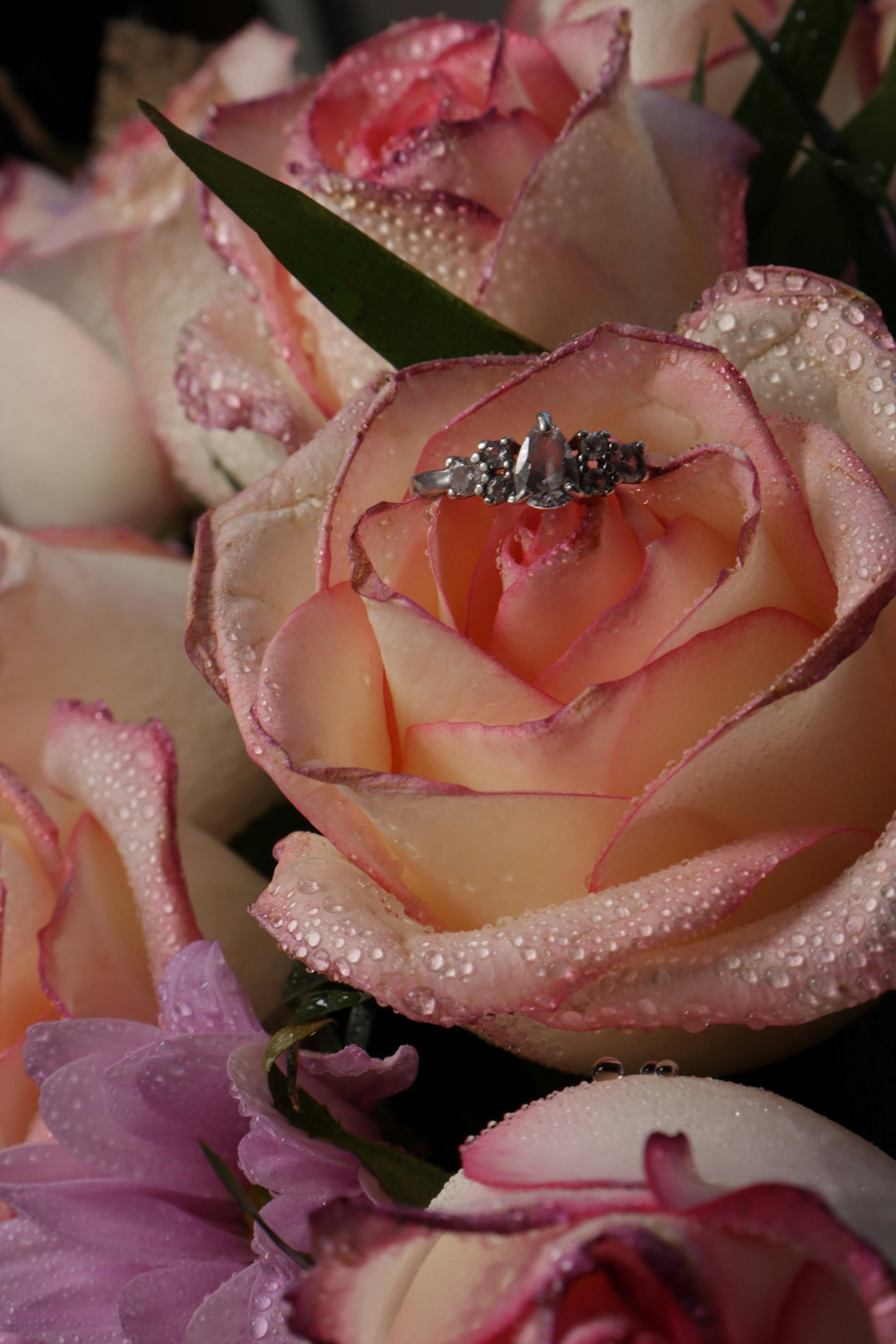 Love's Bloom: A Ring Among Roses