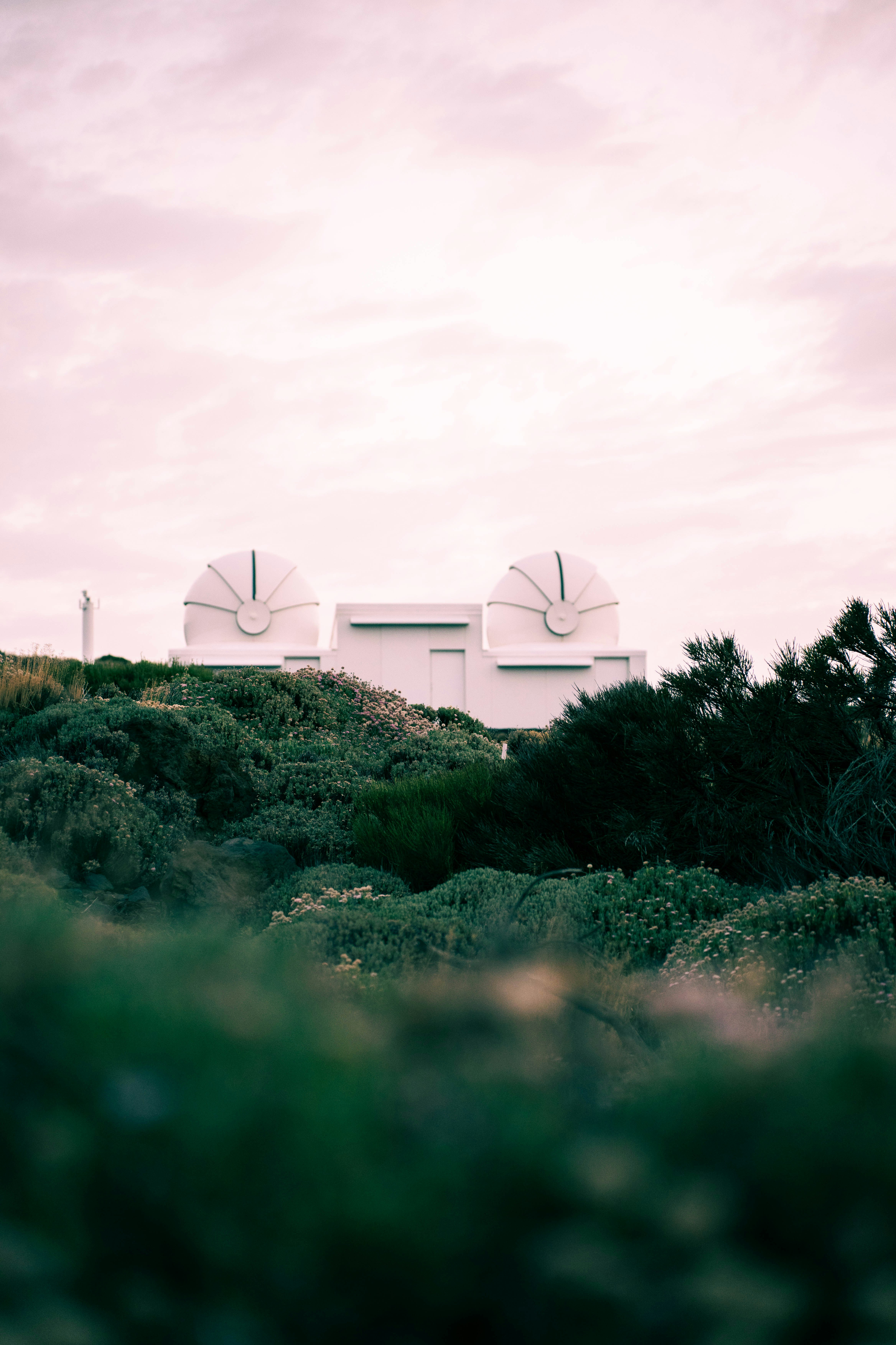 Twin White Domes Guard the Green Slope Under a Blush Sky