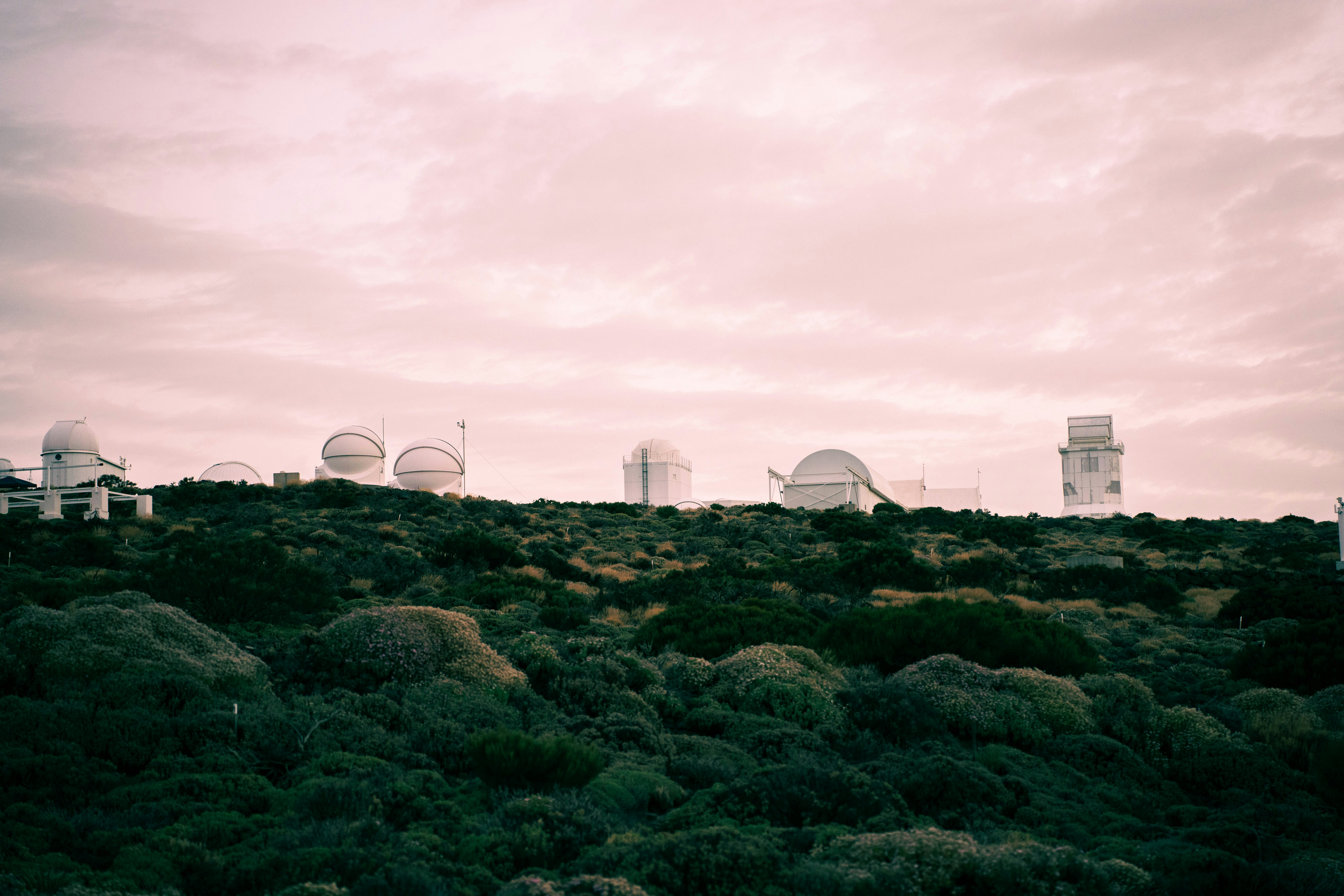 Observatories dot the horizon above the foliage.
