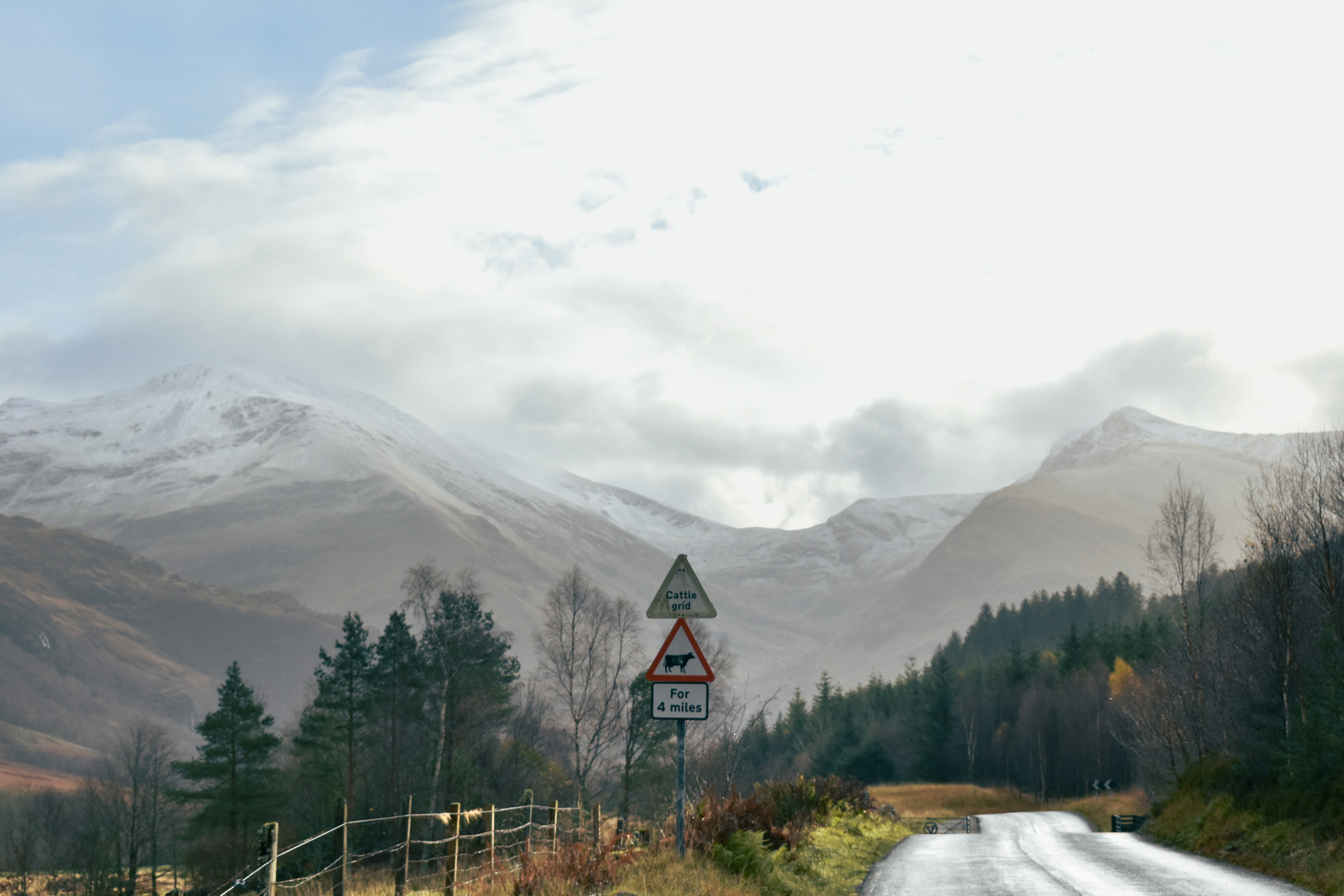 Whispers of the Highlands: A Journey Through Majestic Terrain