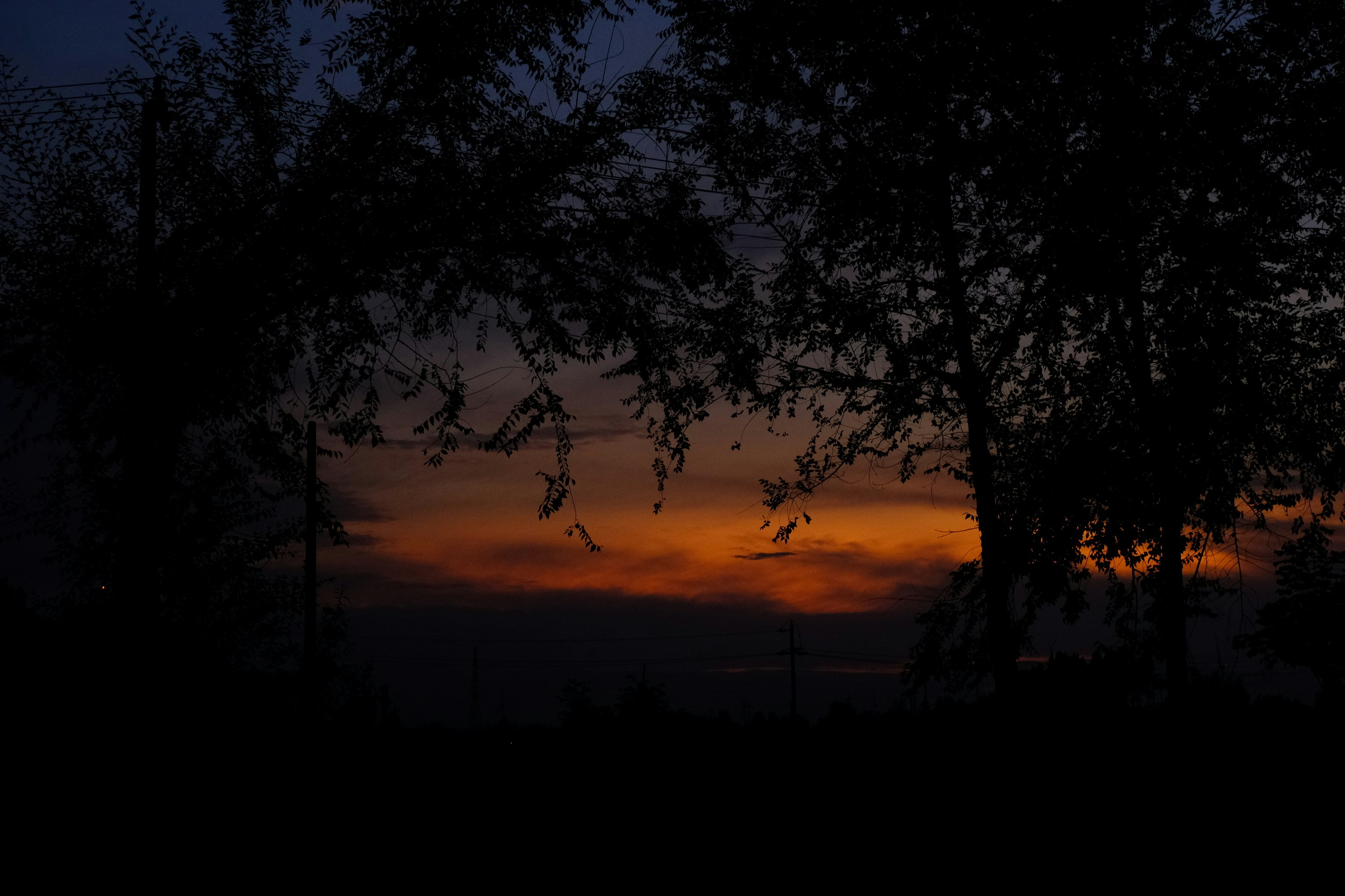黄昏 | A dark sunset glows behind silhouetted trees.