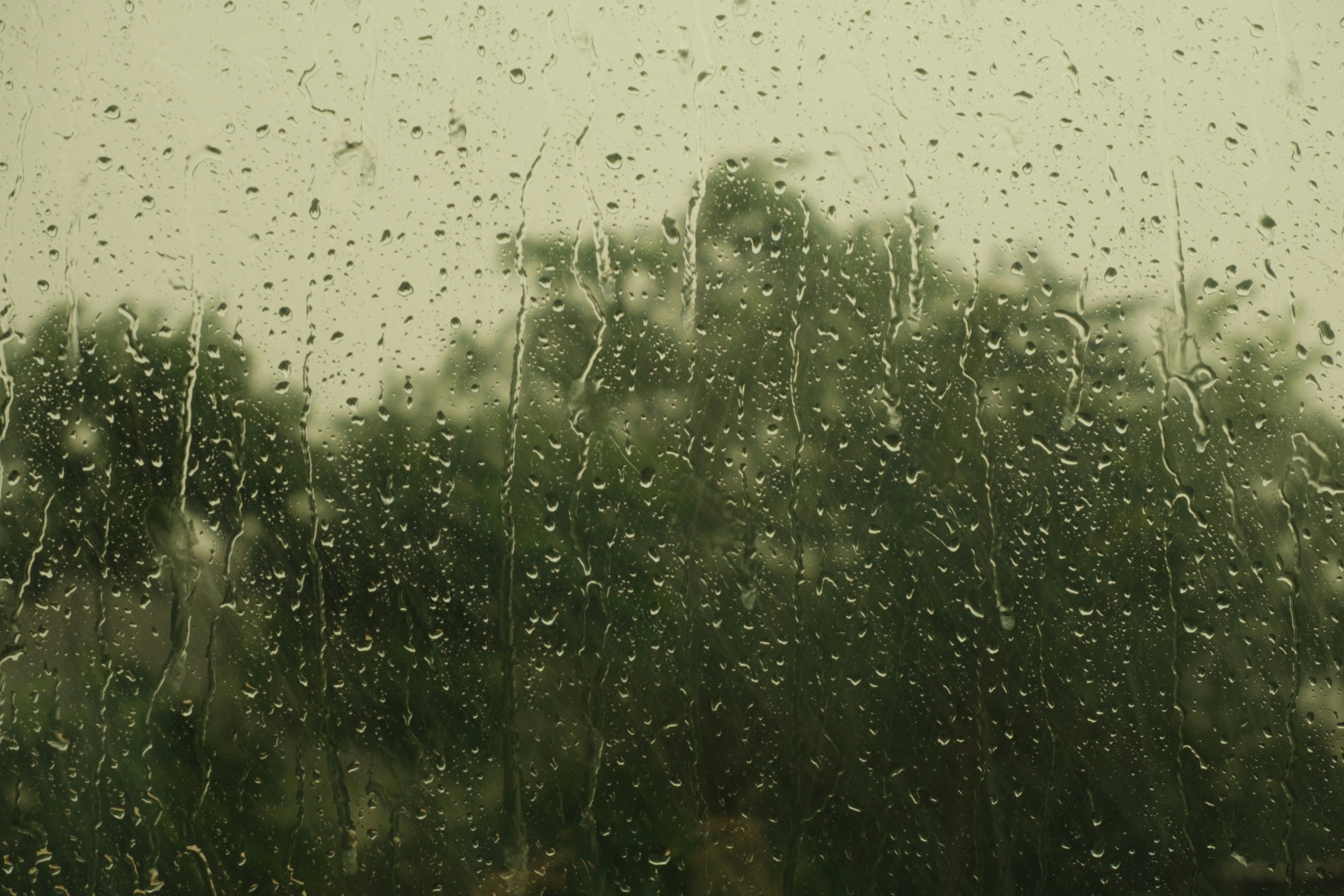 雨窗 | Raindrops on a window obscure the trees.