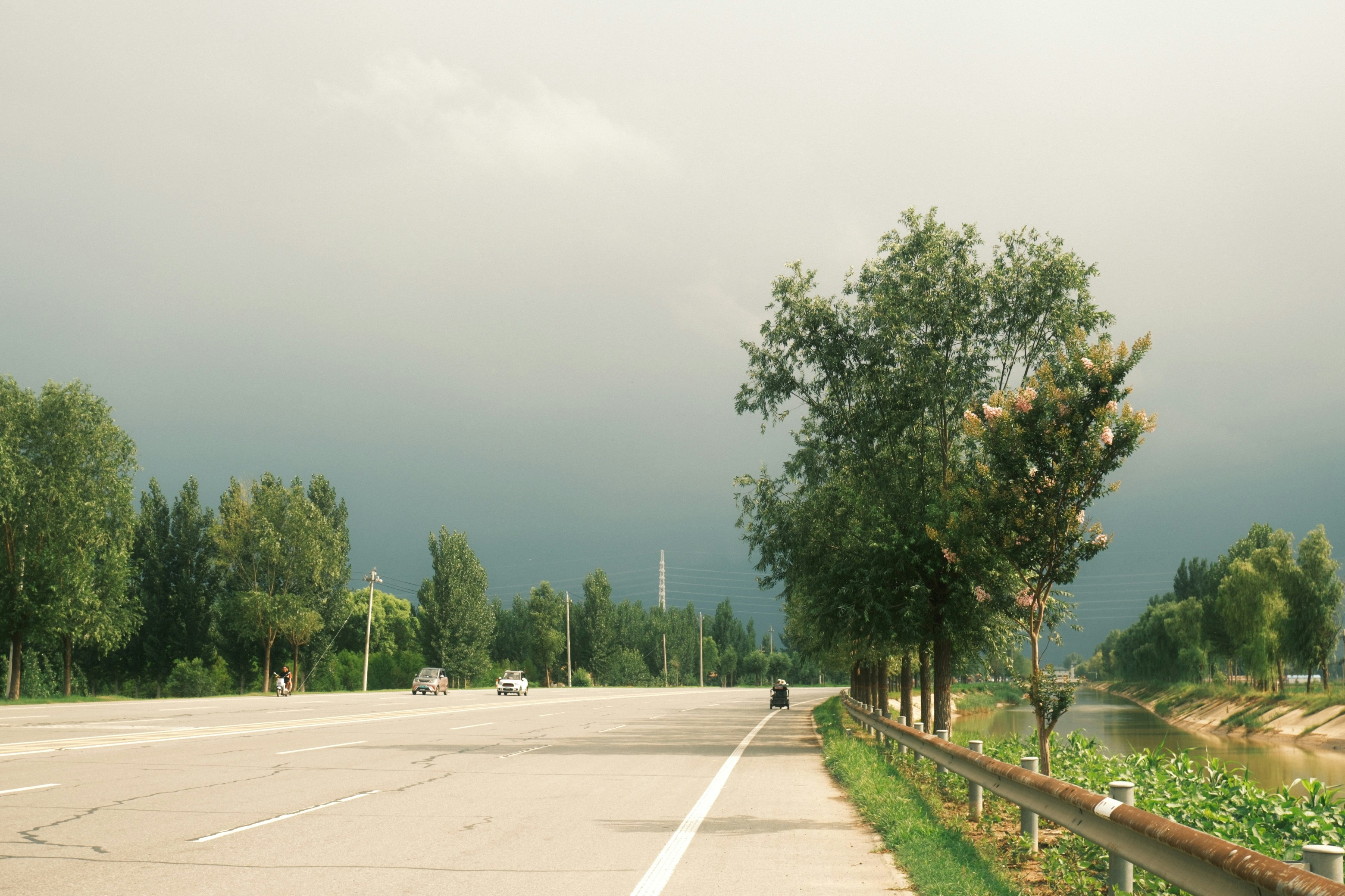 暴雨来临前 | Roadway and trees under a cloudy sky.
