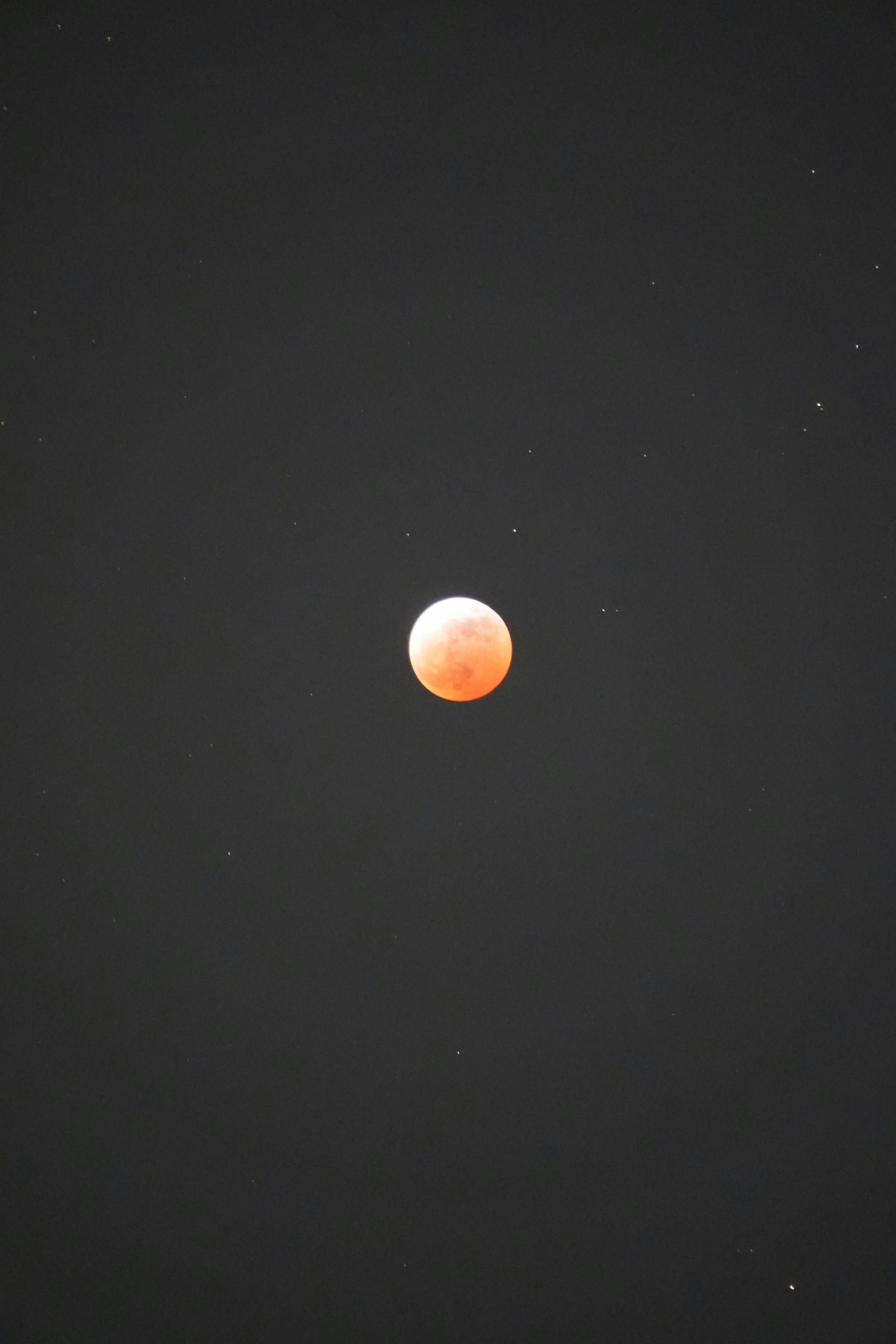 Celestial Ember: The Moon's Dance with Shadows