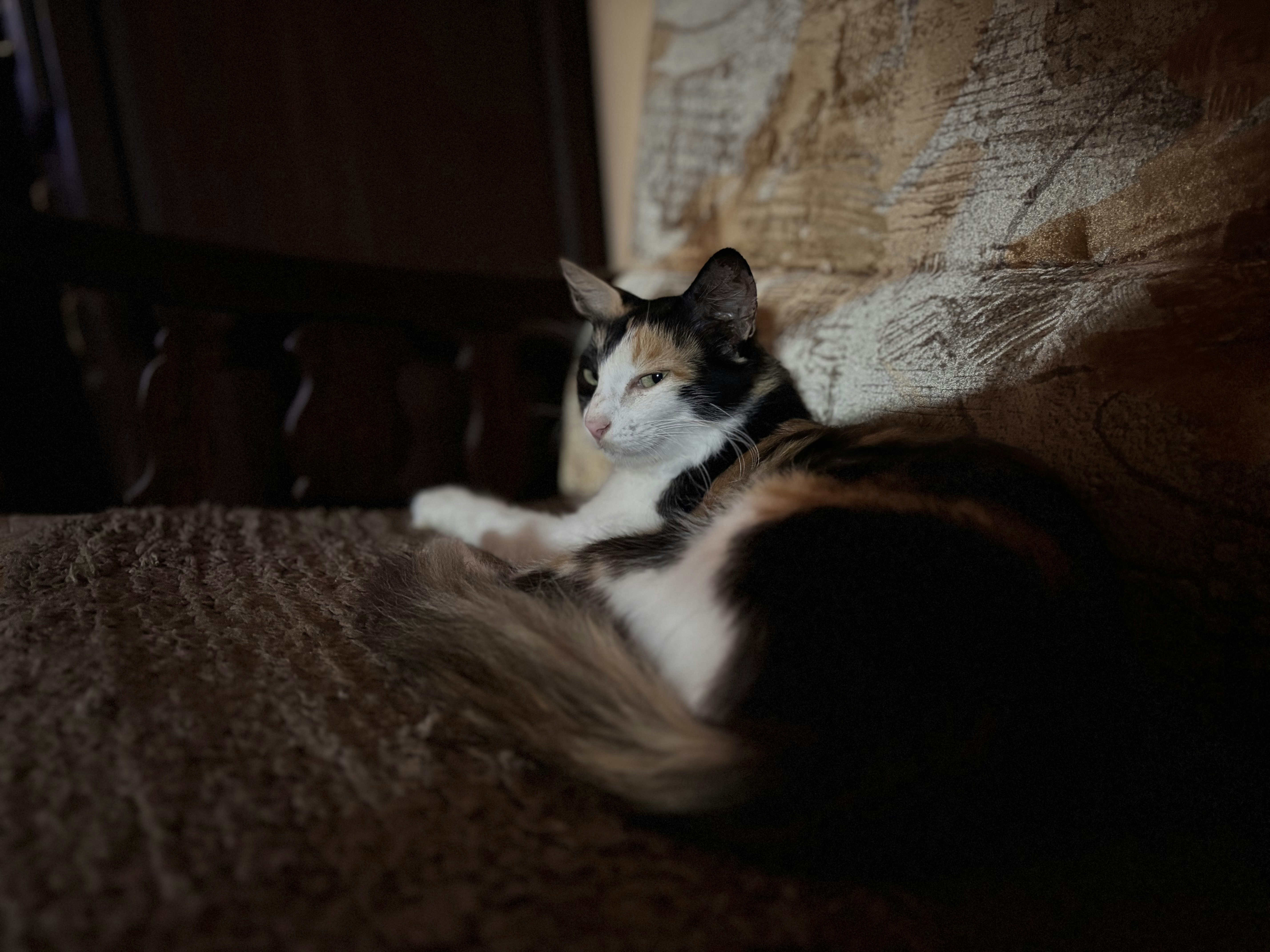 A calico cat is relaxing comfortably on the couch.