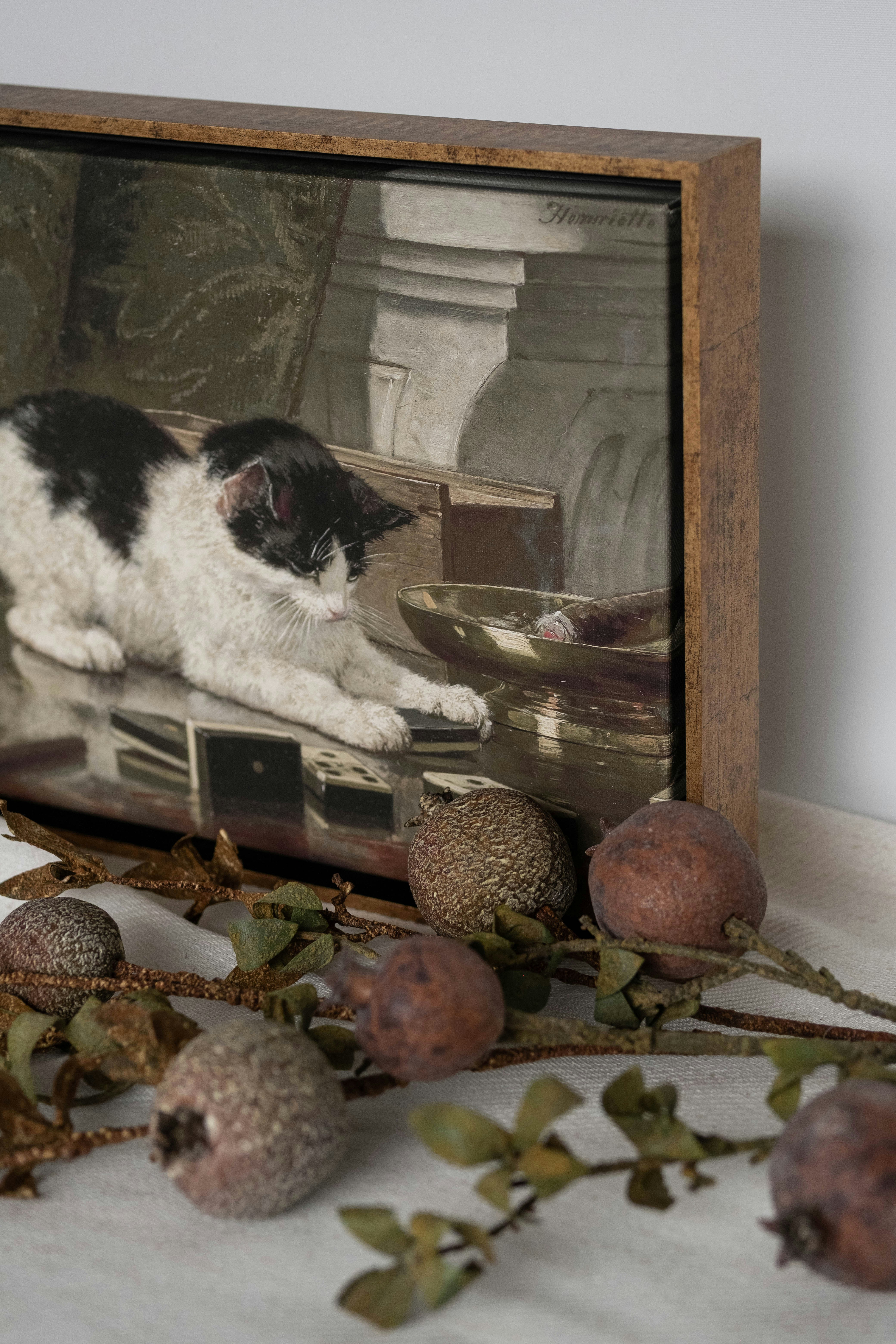 Cat at Rest Against a Framed Illustration