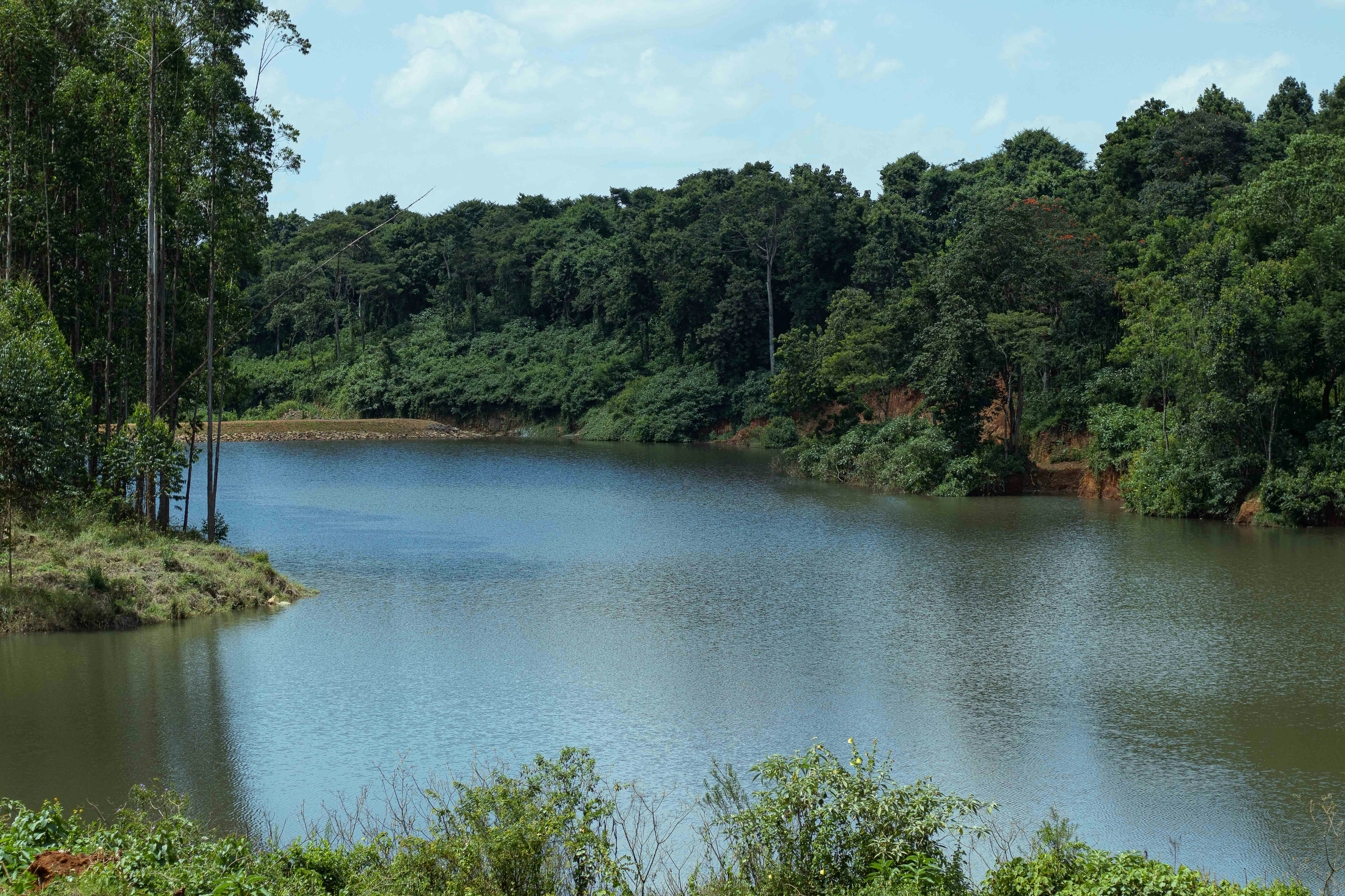 A calm lake lies beside lush green trees.