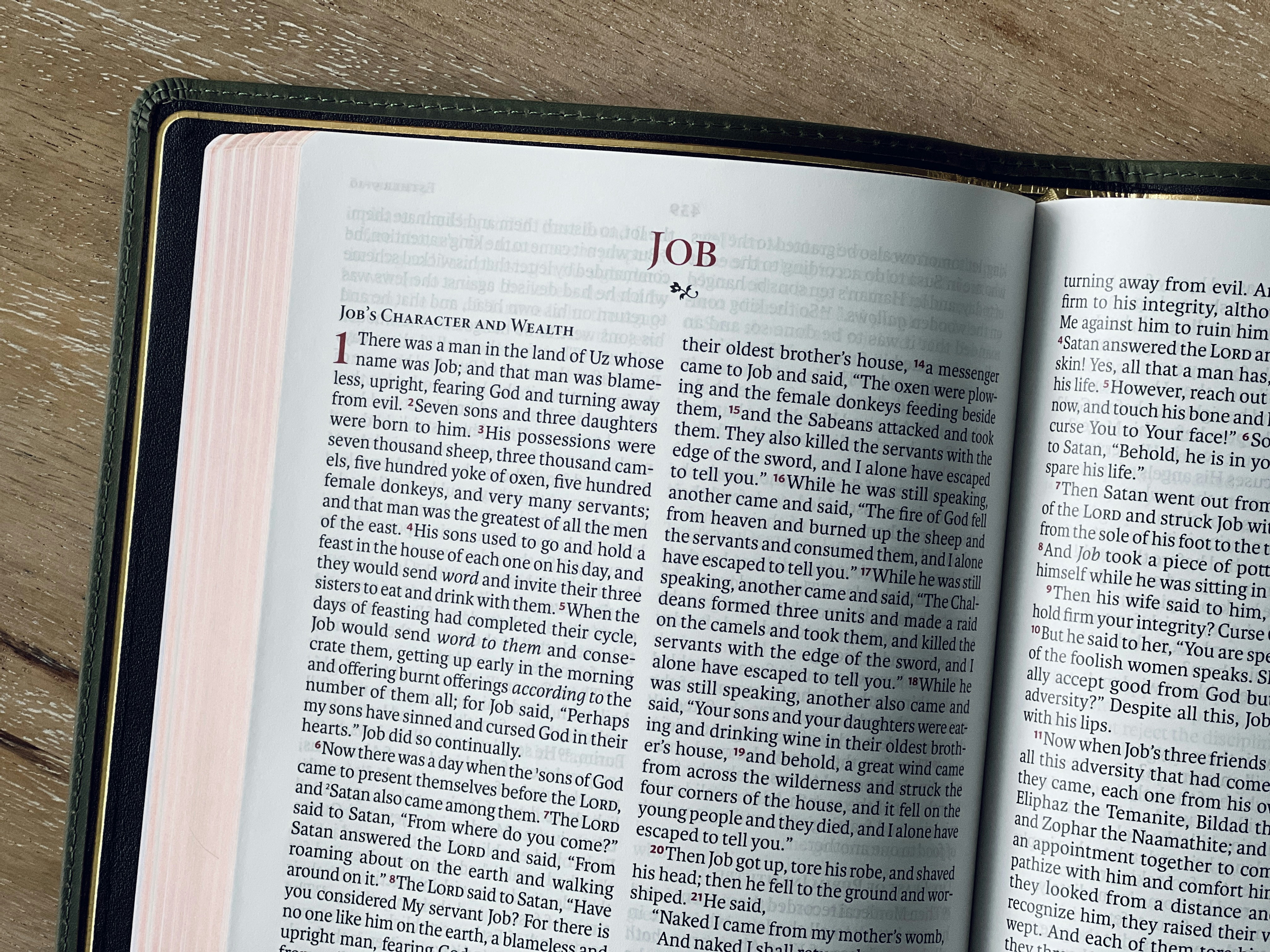 An open bible displays the book of job. photo – Free Bible Image on ...