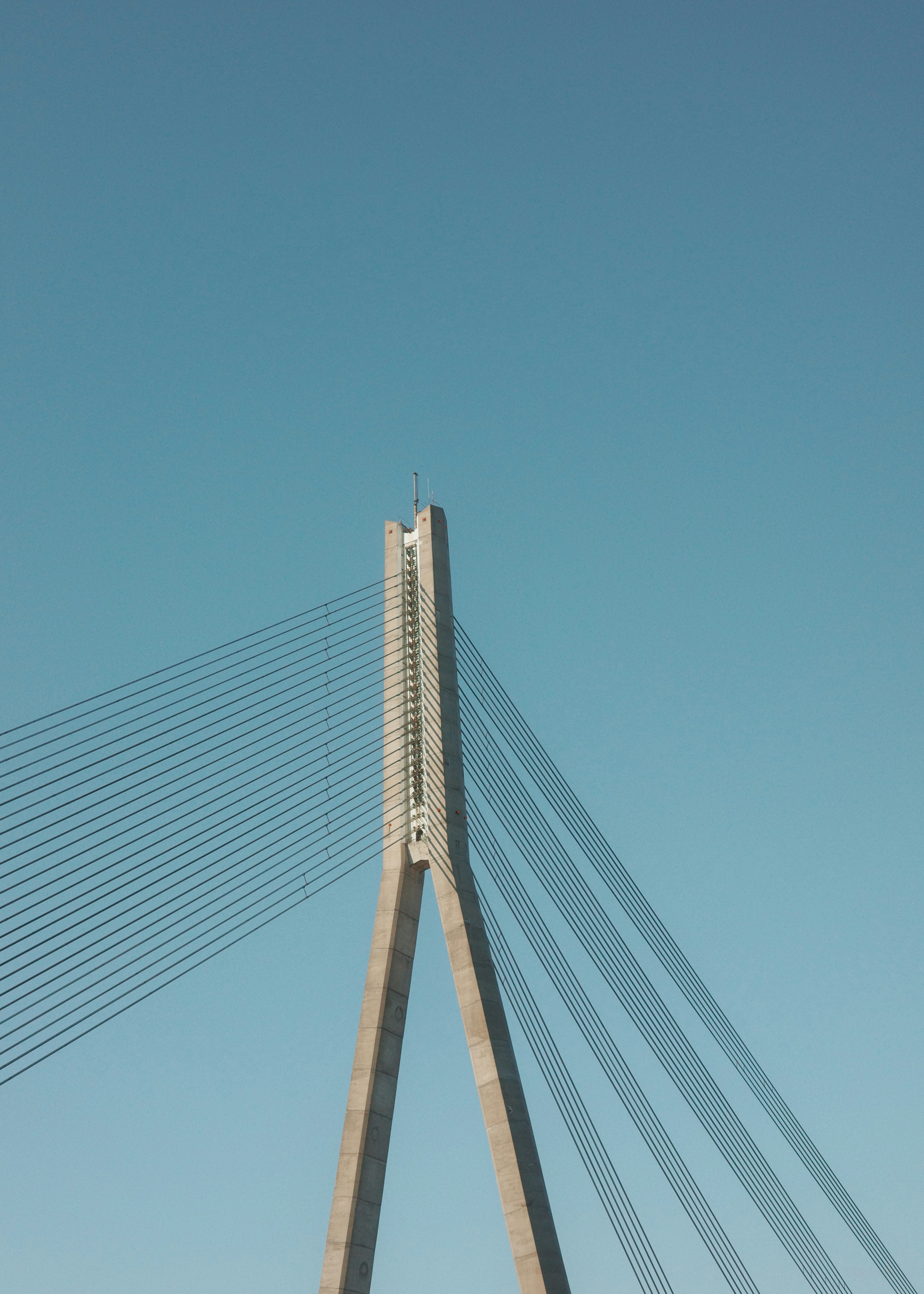 A bridge's tower reaches into the sky.