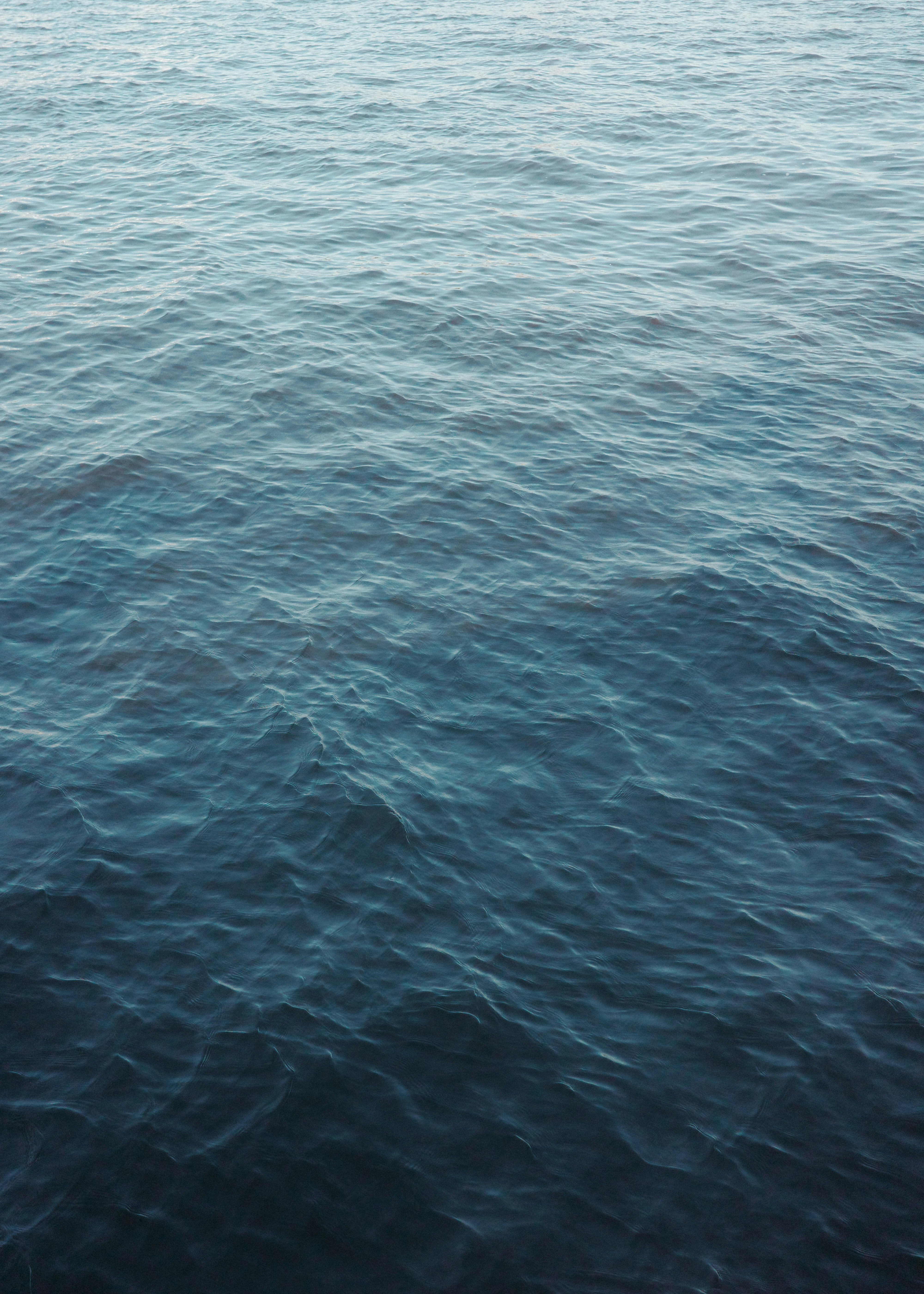 Blue water with gentle ripples.