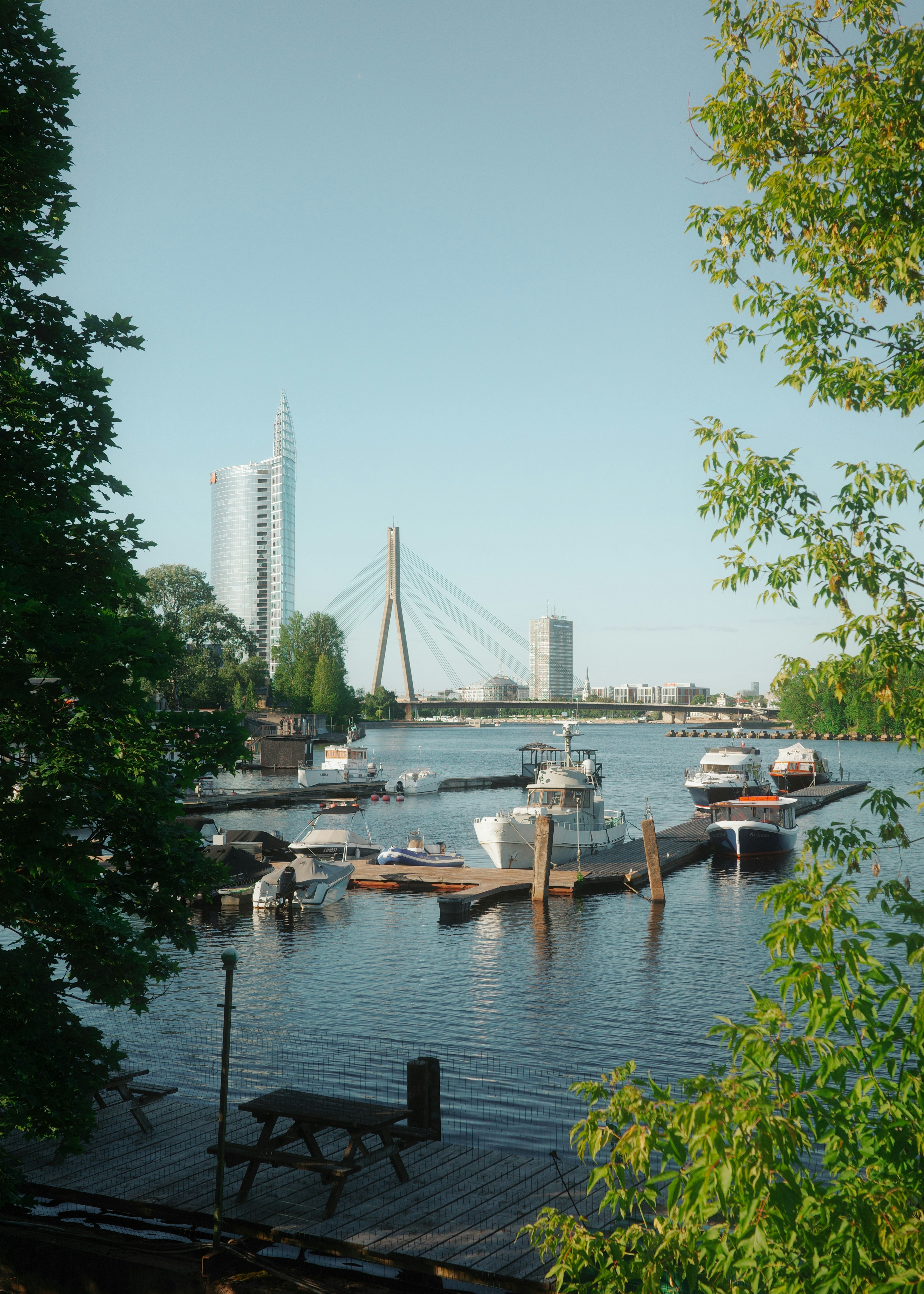 Cable-Stayed Quiet: Boats, Bridge, and River City Framed by Greenery
