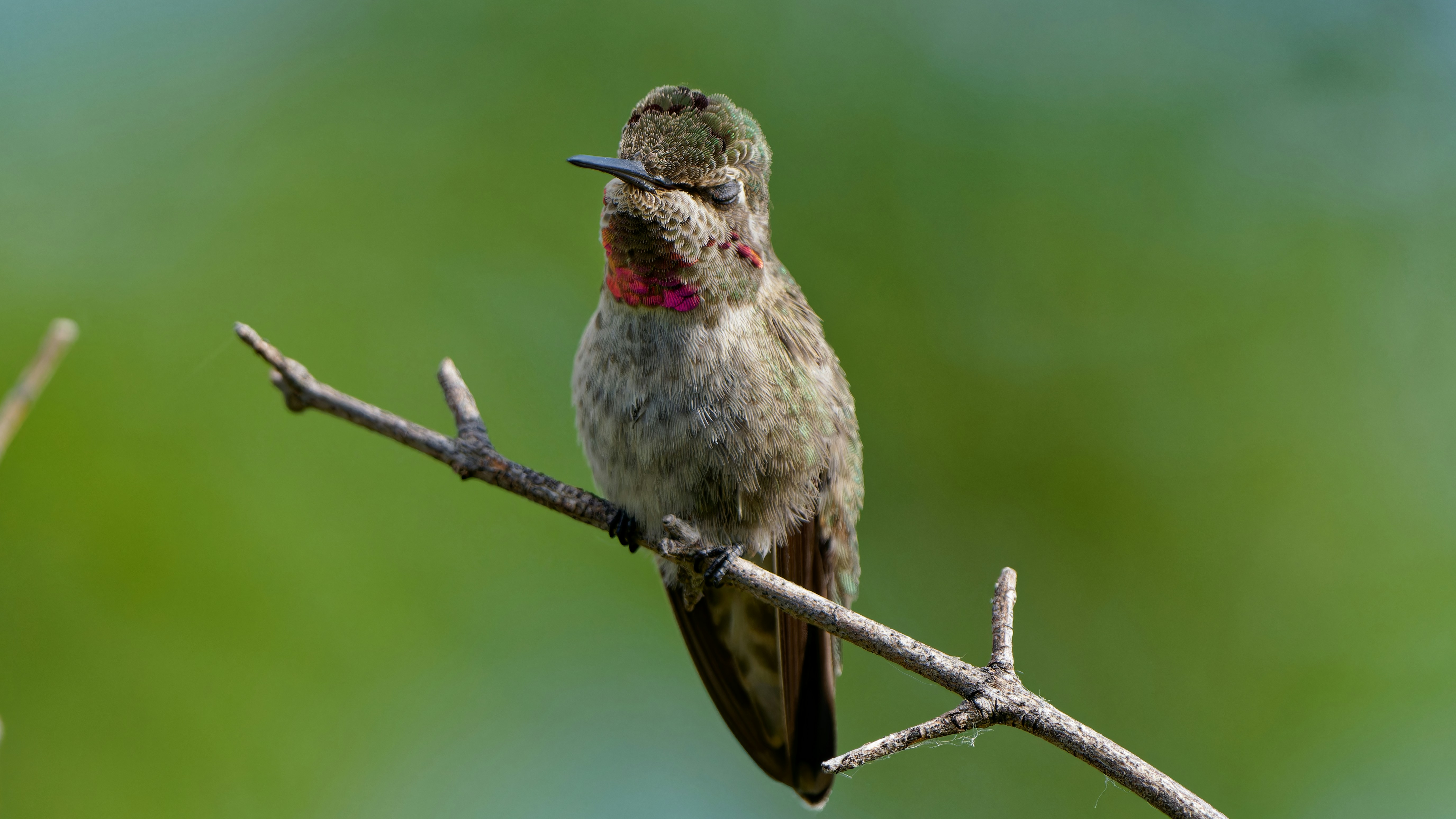 Photo by Patrick Bigelow with Sony Alpha 7R V