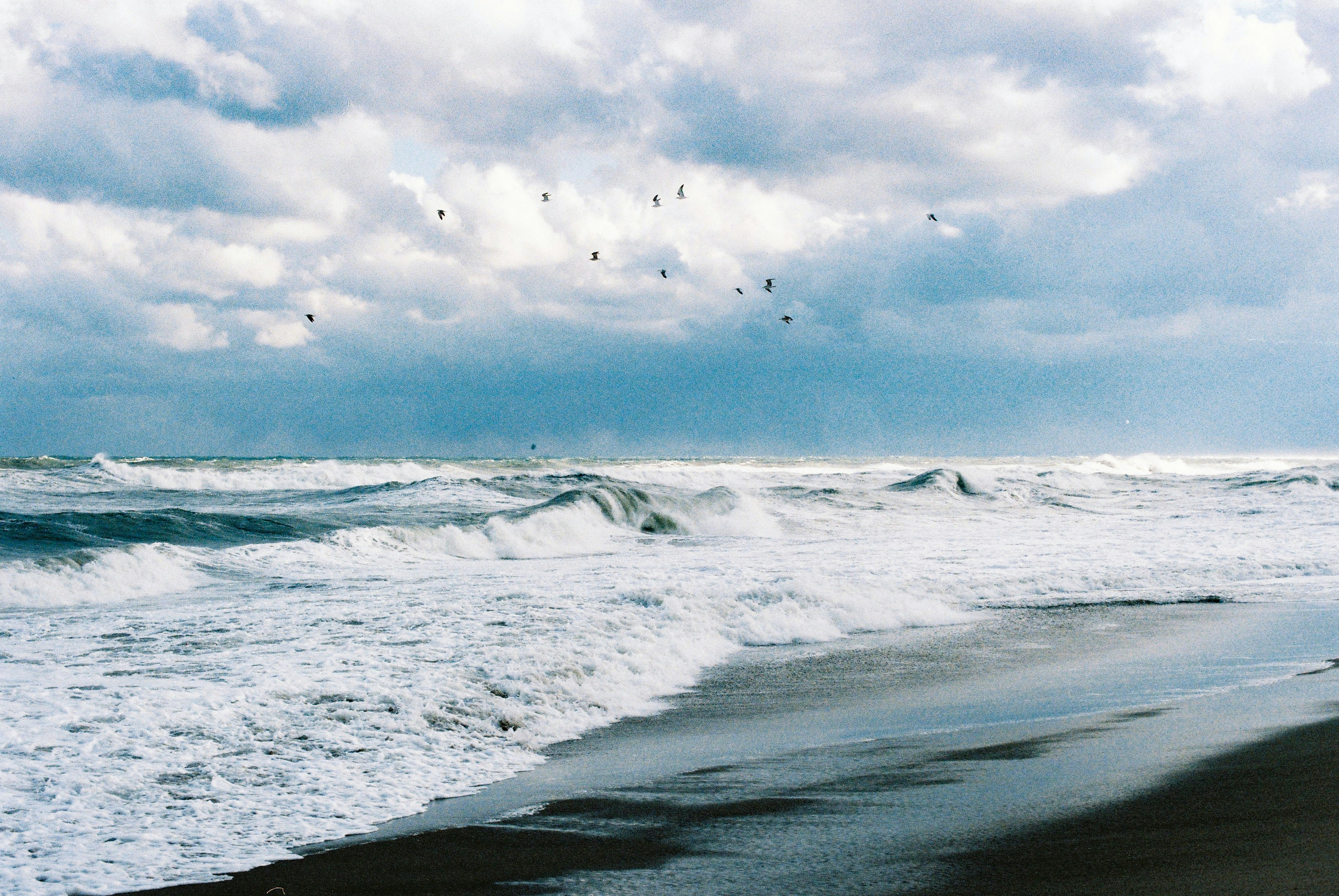 Horizon Chorus over a Wind-Swept Shore