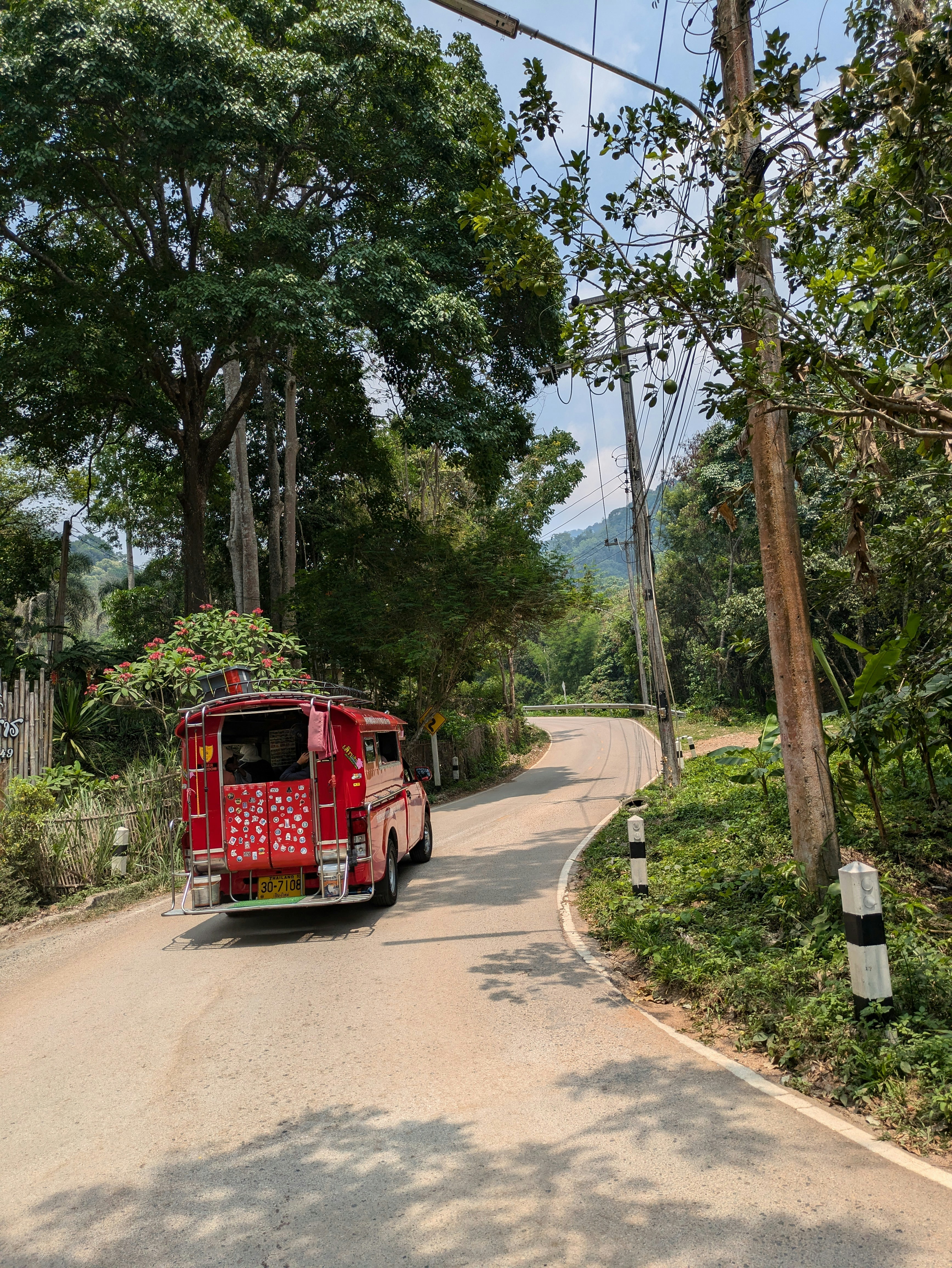 A vibrant red vehicle navigates a winding road surrounded by dense greenery and towering trees, showcasing the beauty of rural landscapes.