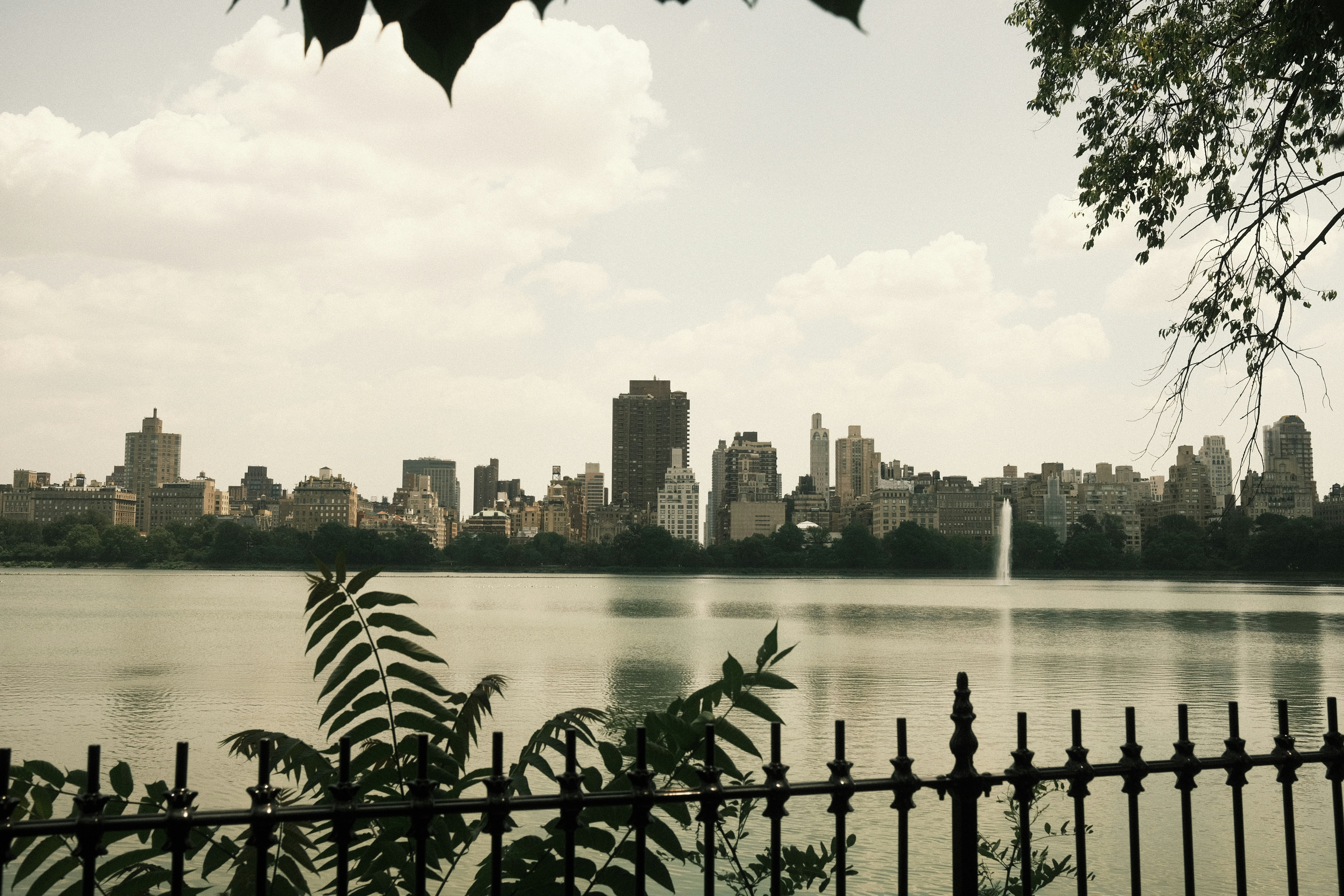 Urban Reflections: A Serene Encounter with Nature