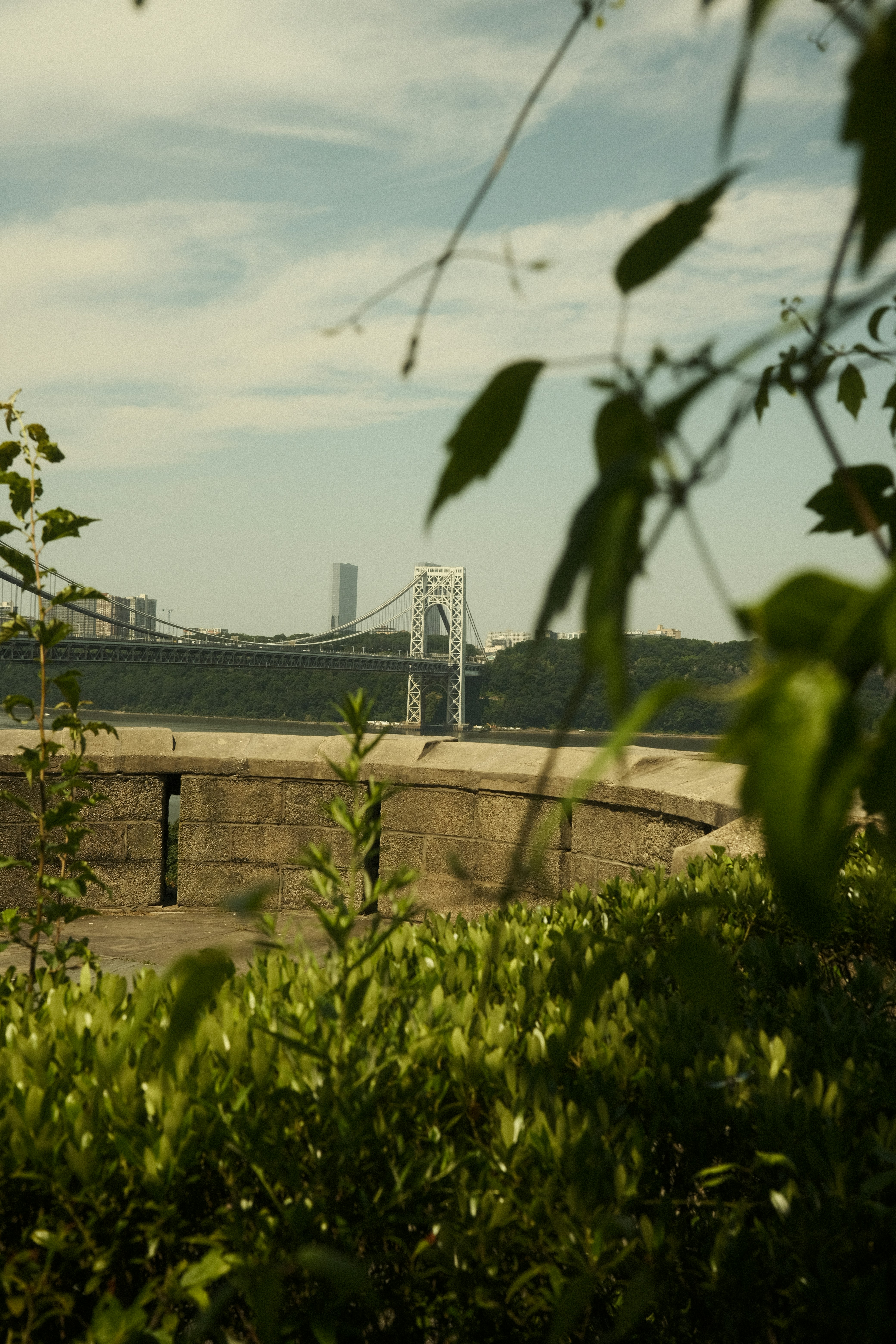 Framed by Nature: A Gateway to the City