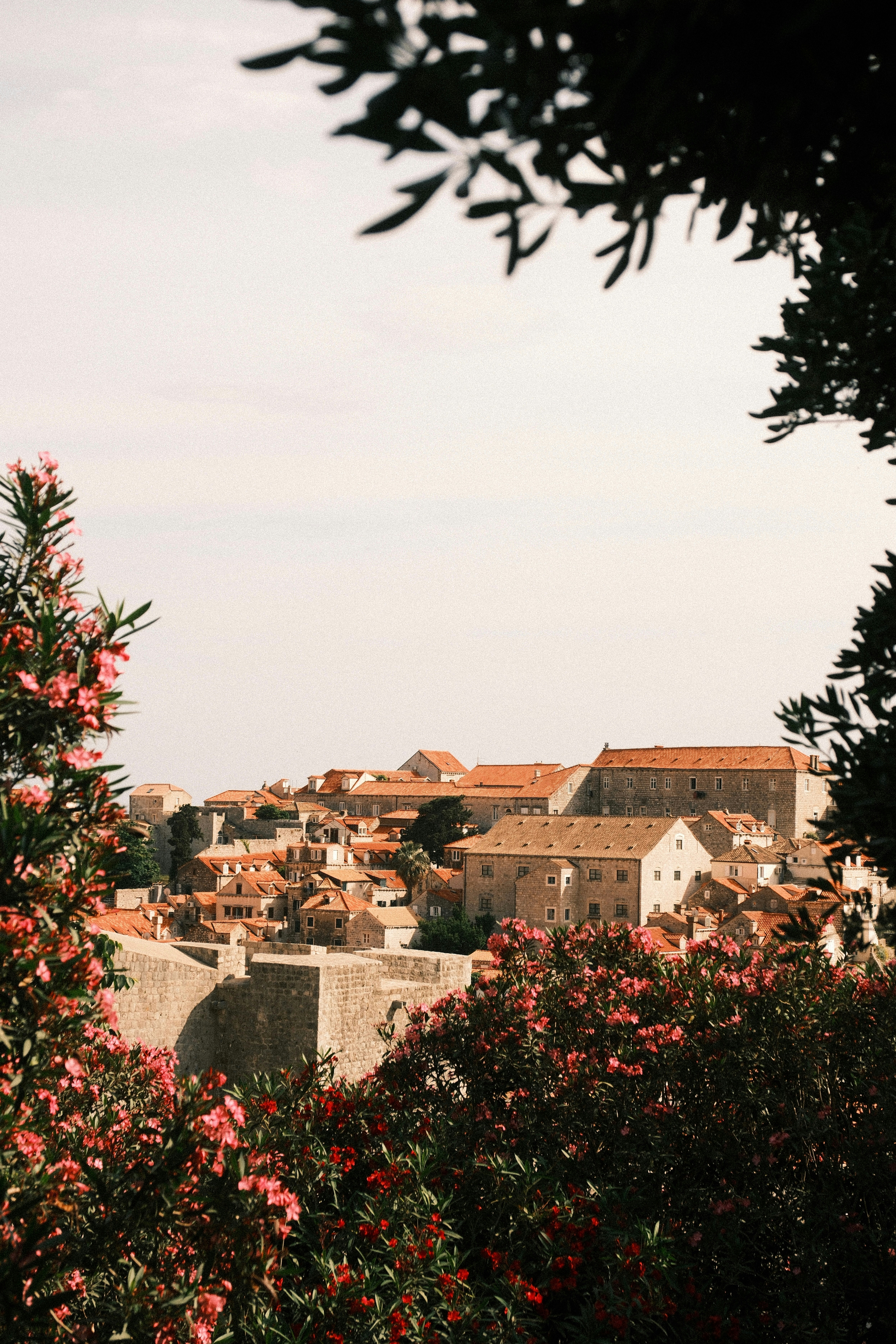 Charming coastal town nestled among vibrant blooms, showcasing historical architecture and terracotta rooftops.