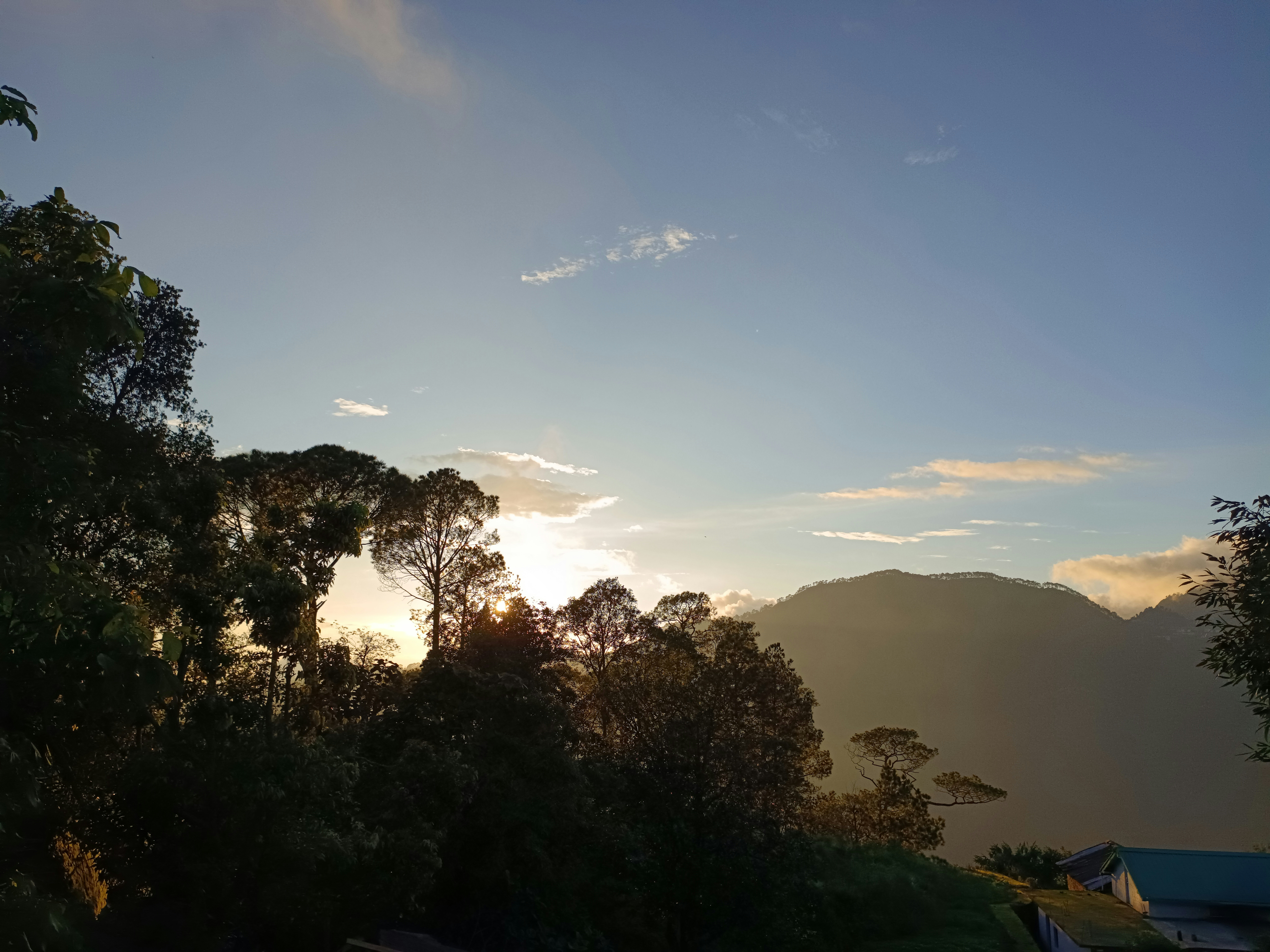 Dawn's Embrace: Nature's Quiet Awakening