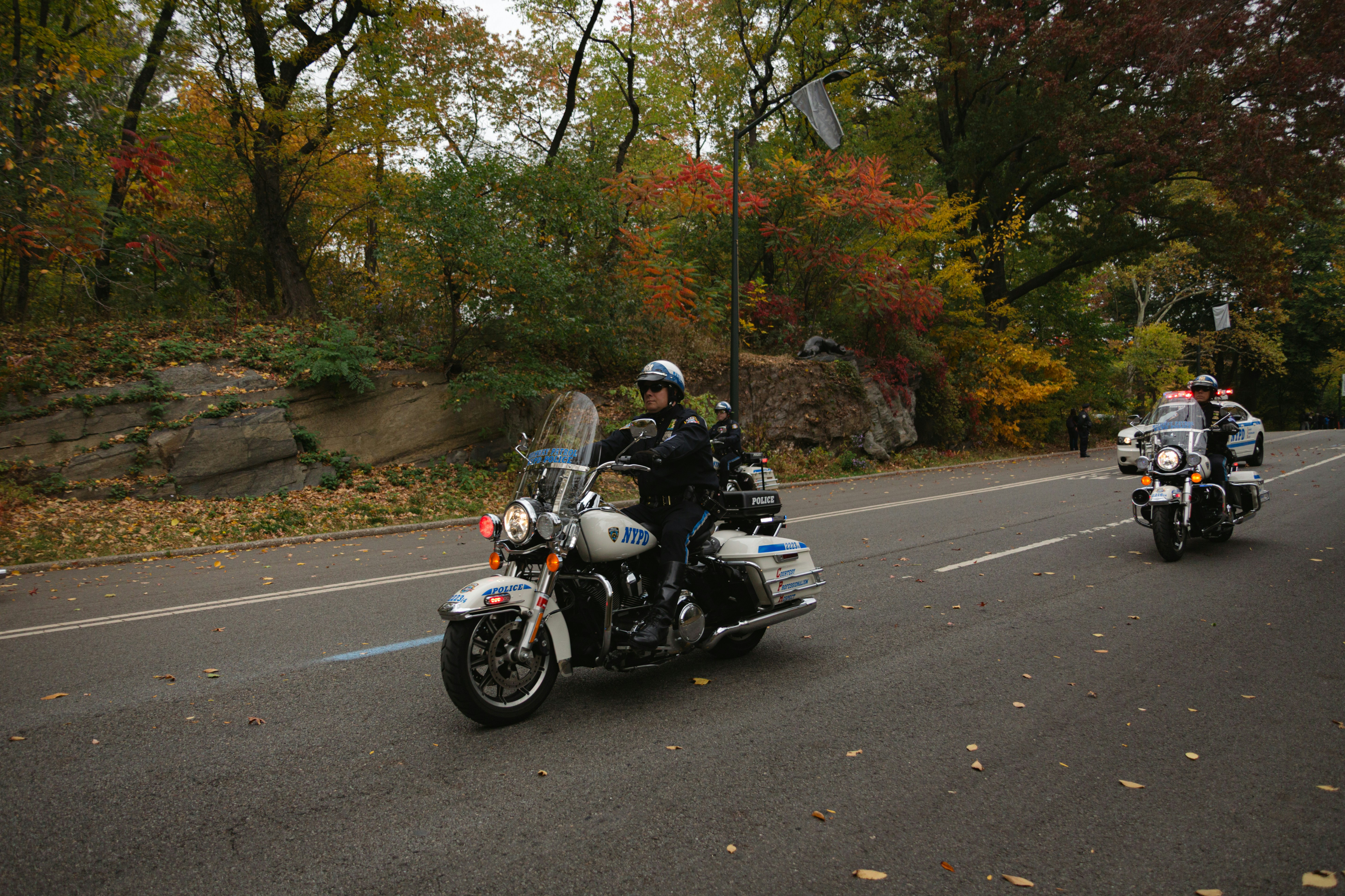 Autumn Patrol: Guardians of the Road