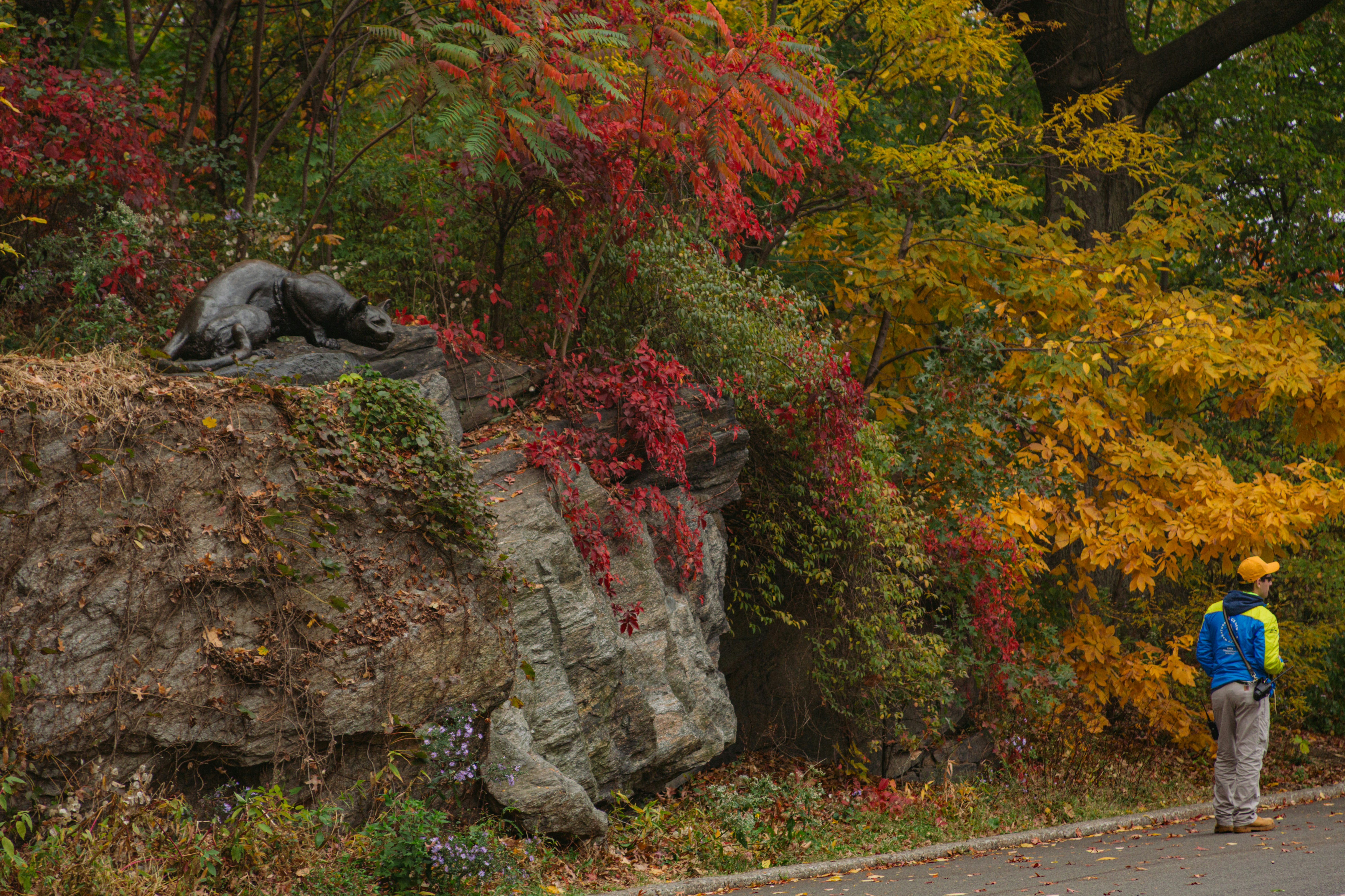 Autumn Quiet: A Gardener in the Grove