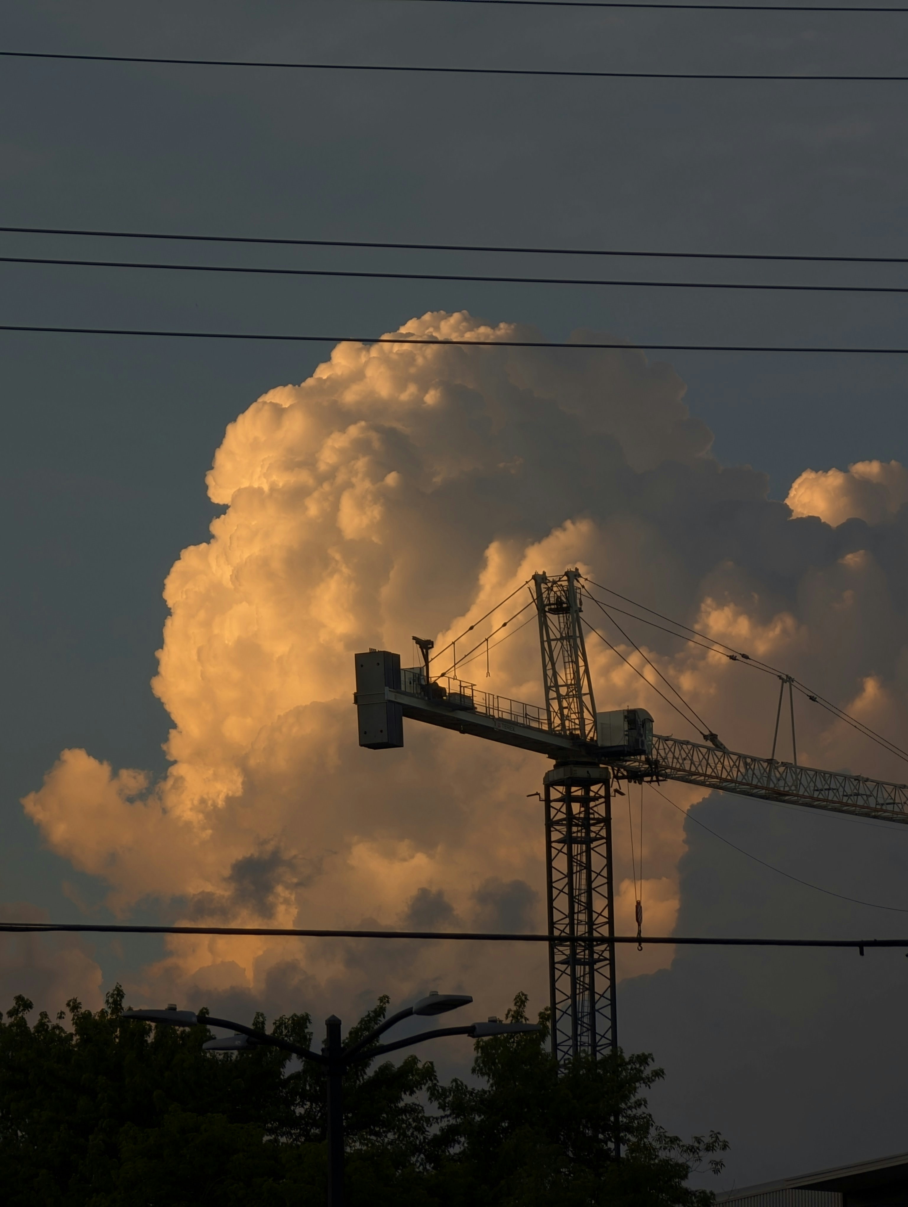 Crane Silhouette Beneath a Gold-Touched Cumulus at Dusk