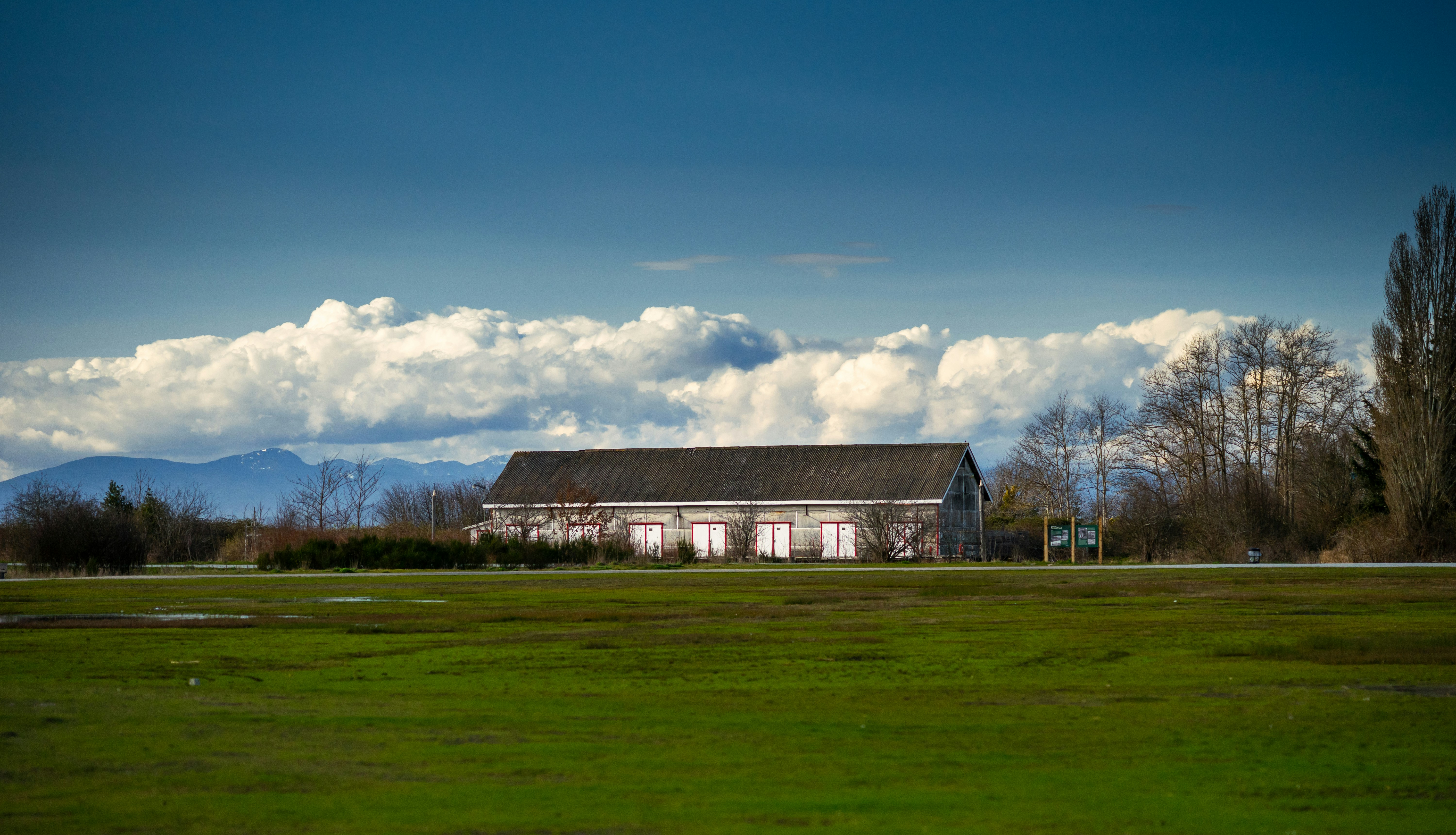 Whispers of the Past: A Vintage Structure Amidst Nature