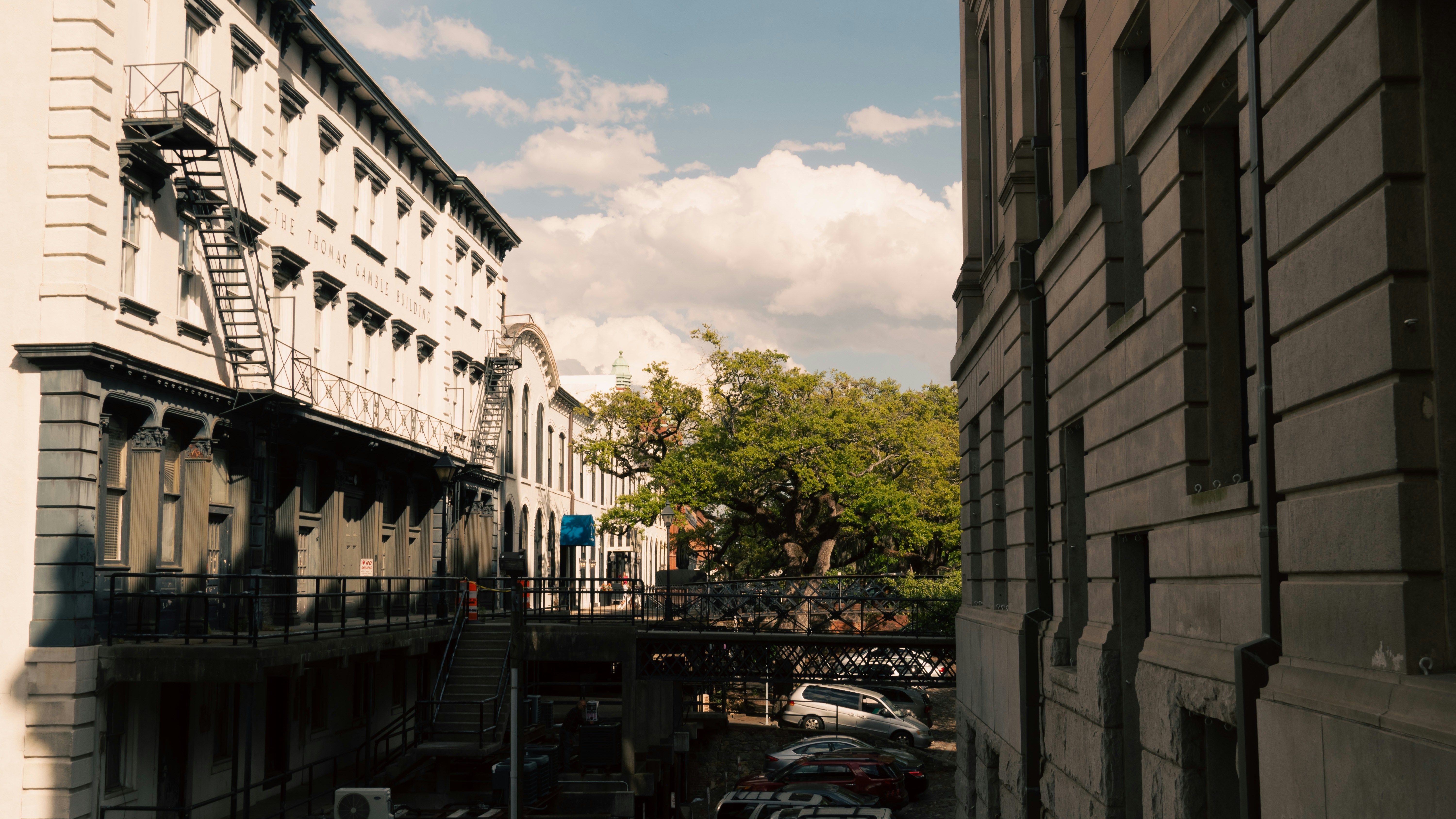 Historic buildings frame a lively urban scene with a large tree and parked cars below. The interplay of architecture and nature creates a unique cityscape.