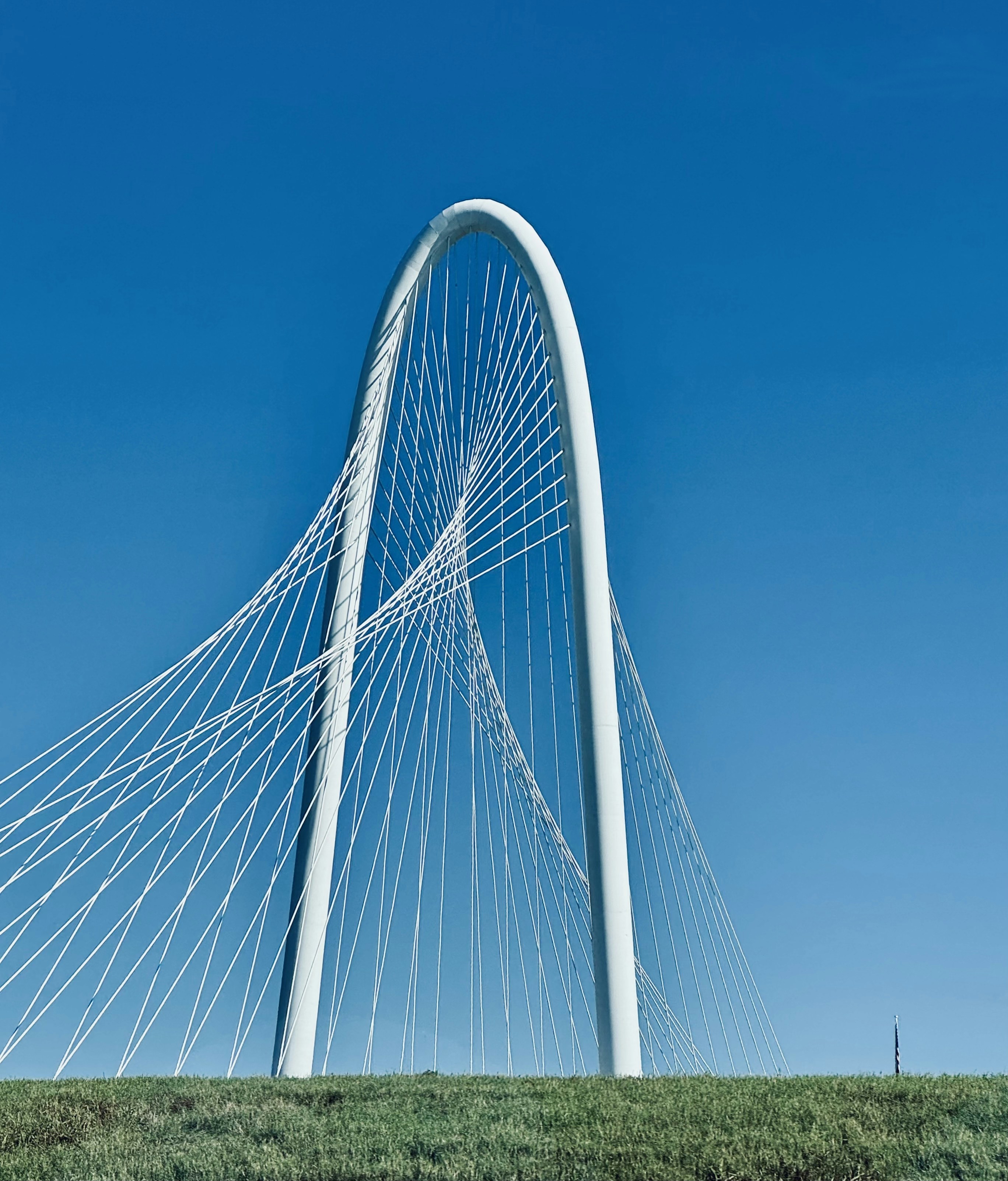 The Elegant Arc: A Modern Marvel of Engineering