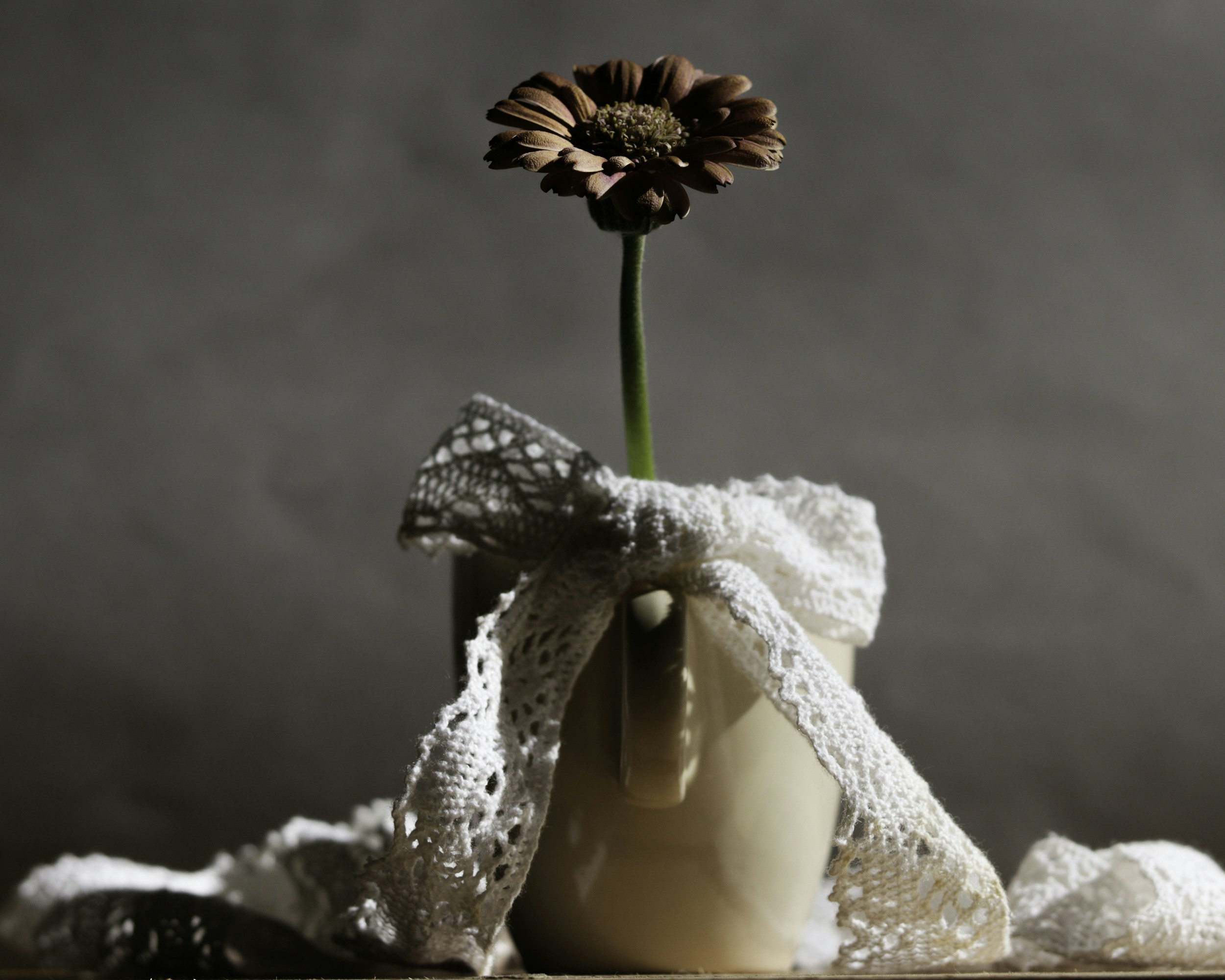 Whispers of Nature: A Floral Elegance