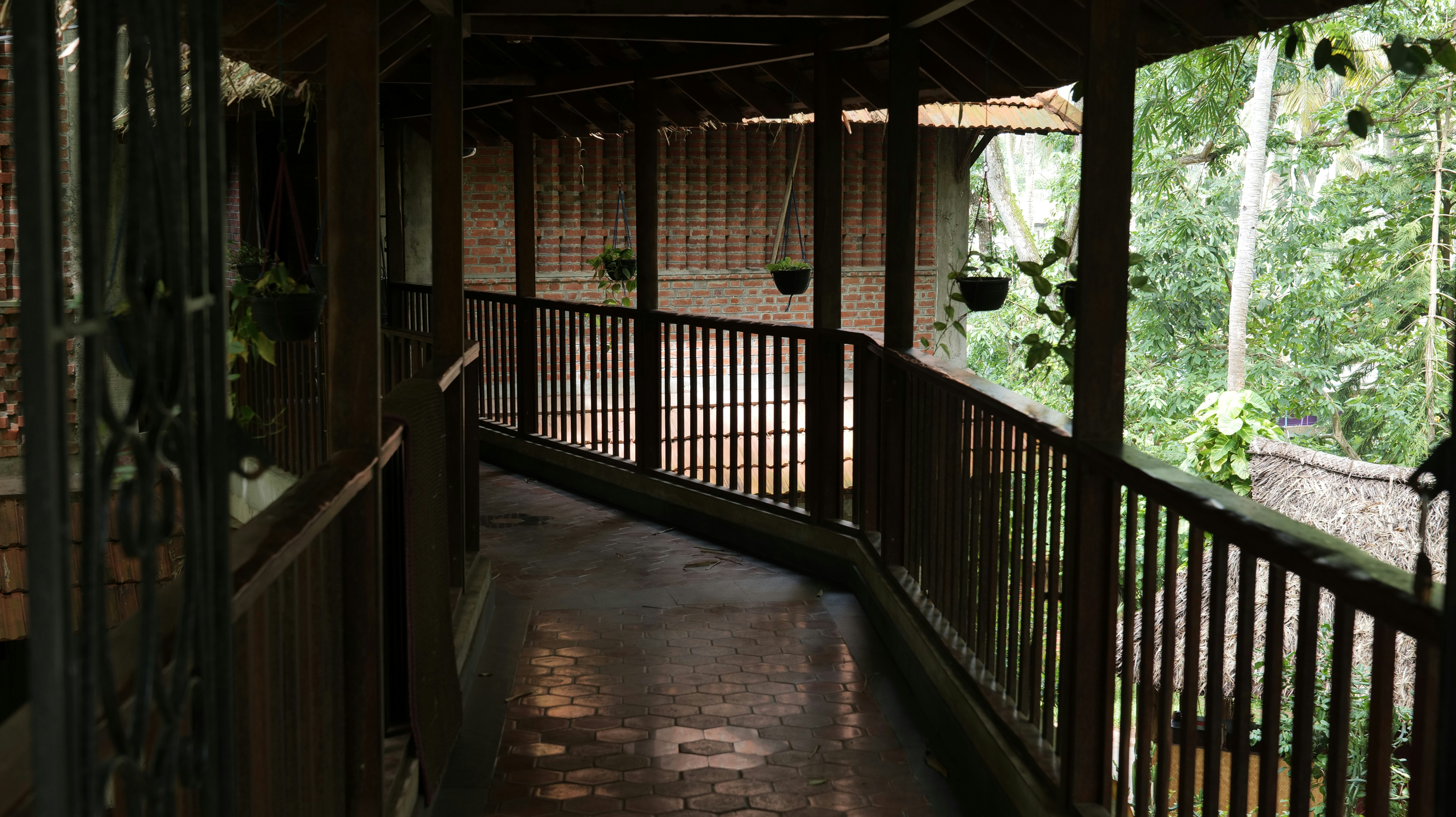 A wooden pathway leads through the trees.