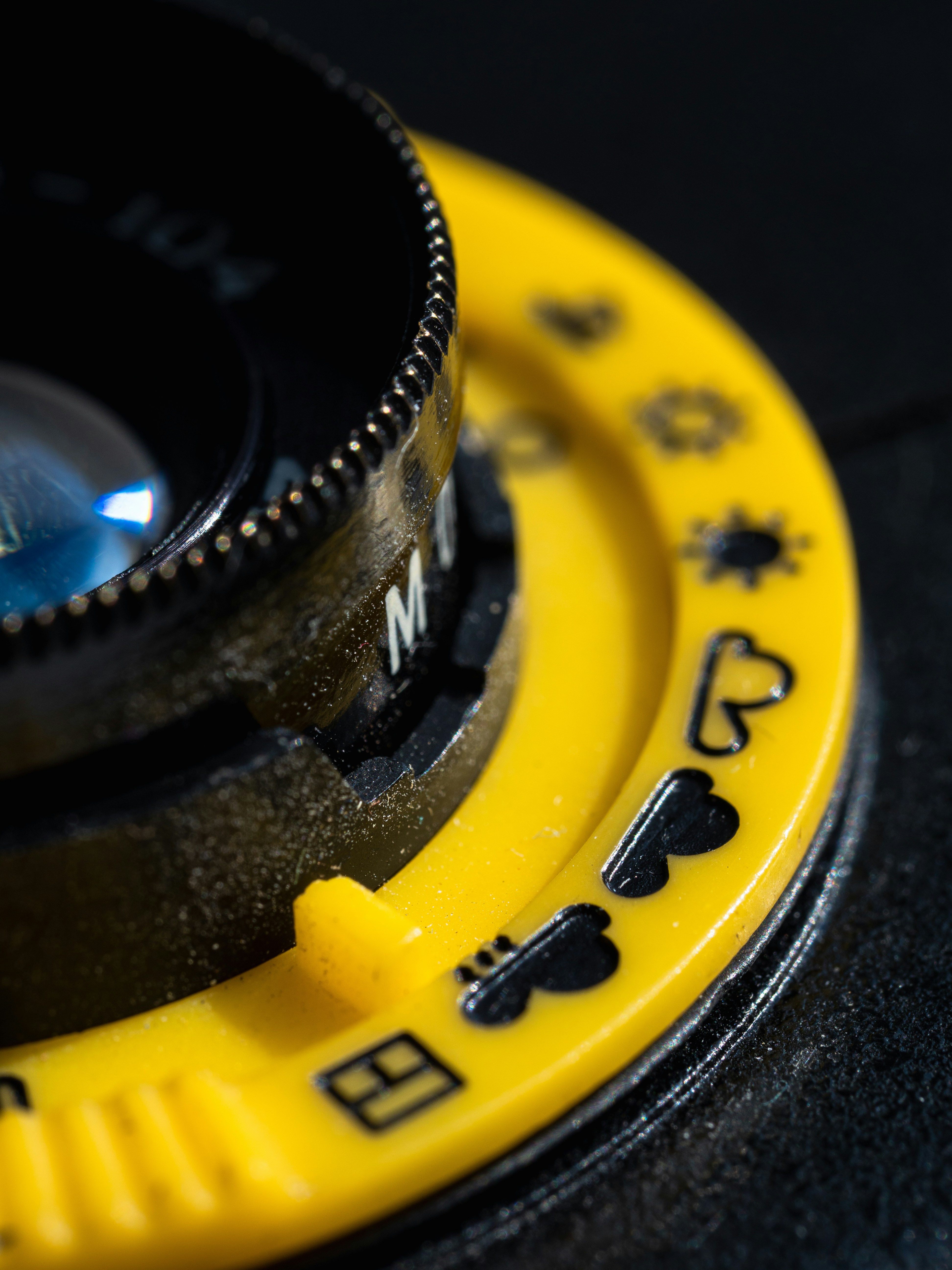 Yellow Dial at Close Range: A Macro Study of Texture and Mechanism