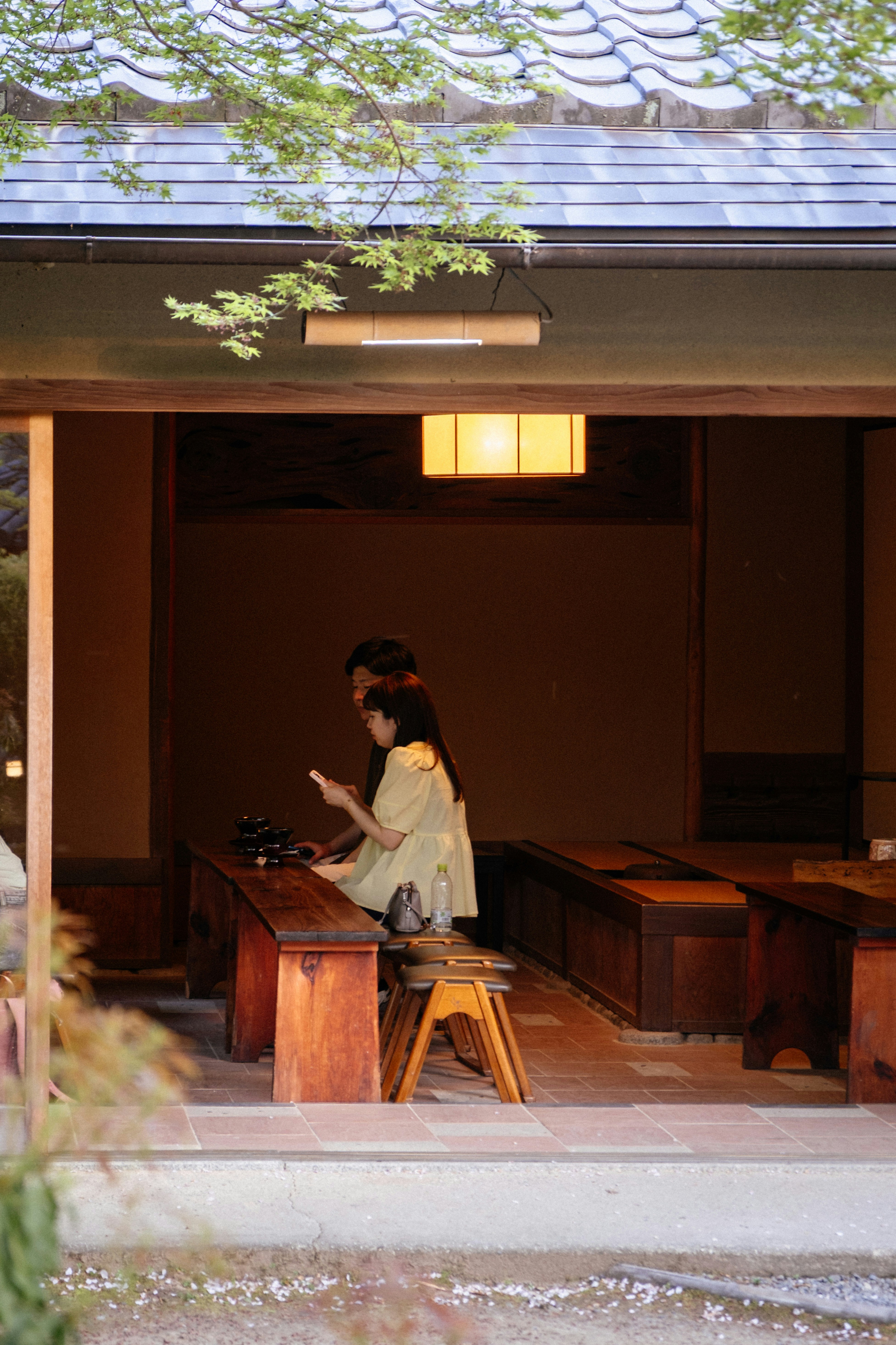 Two individuals engaged in a serene tea ceremony within a traditional Japanese tea room, surrounded by warm wooden textures and soft ambient light.