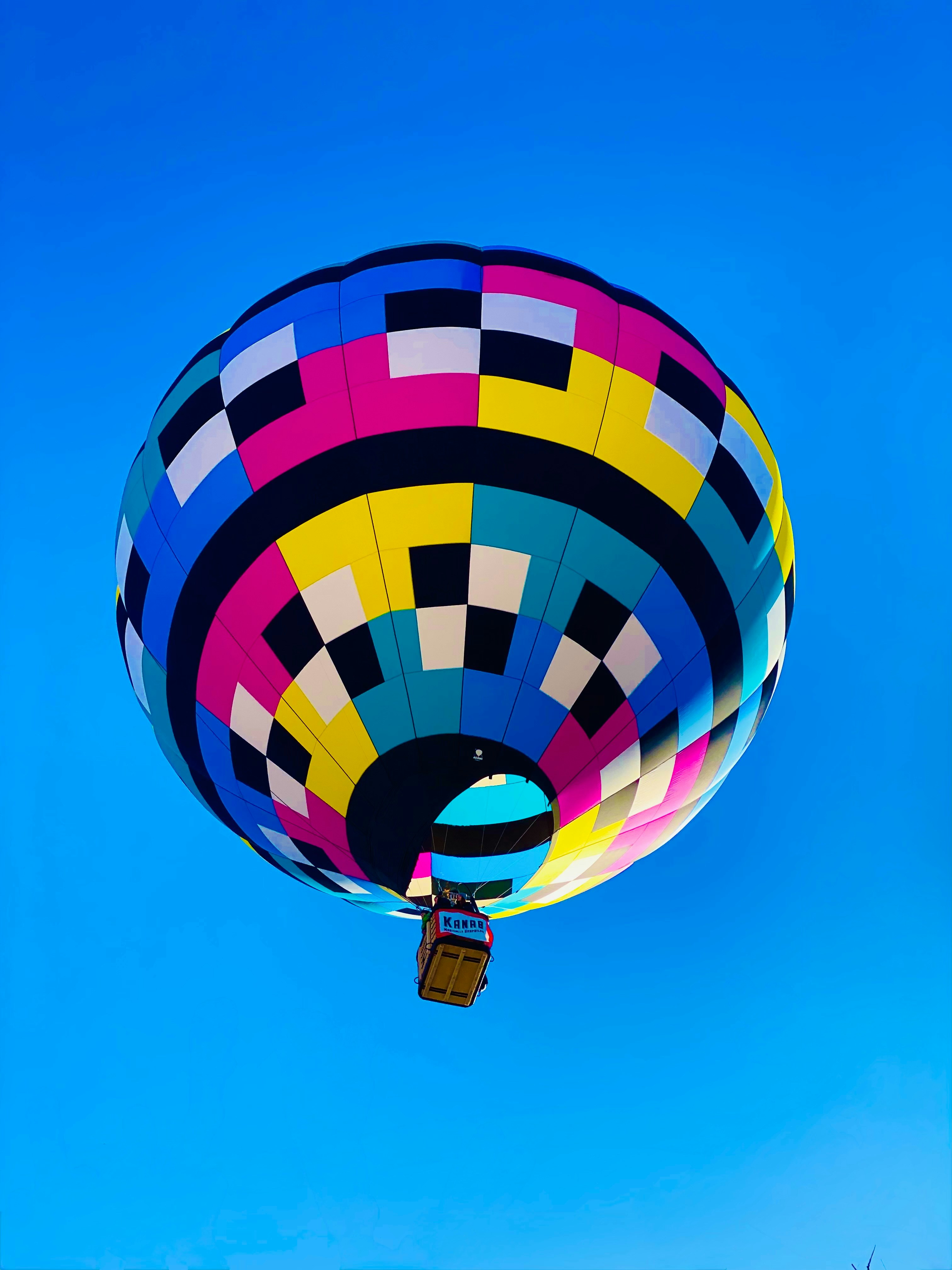 Vibrant Ascent: A Colorful Journey