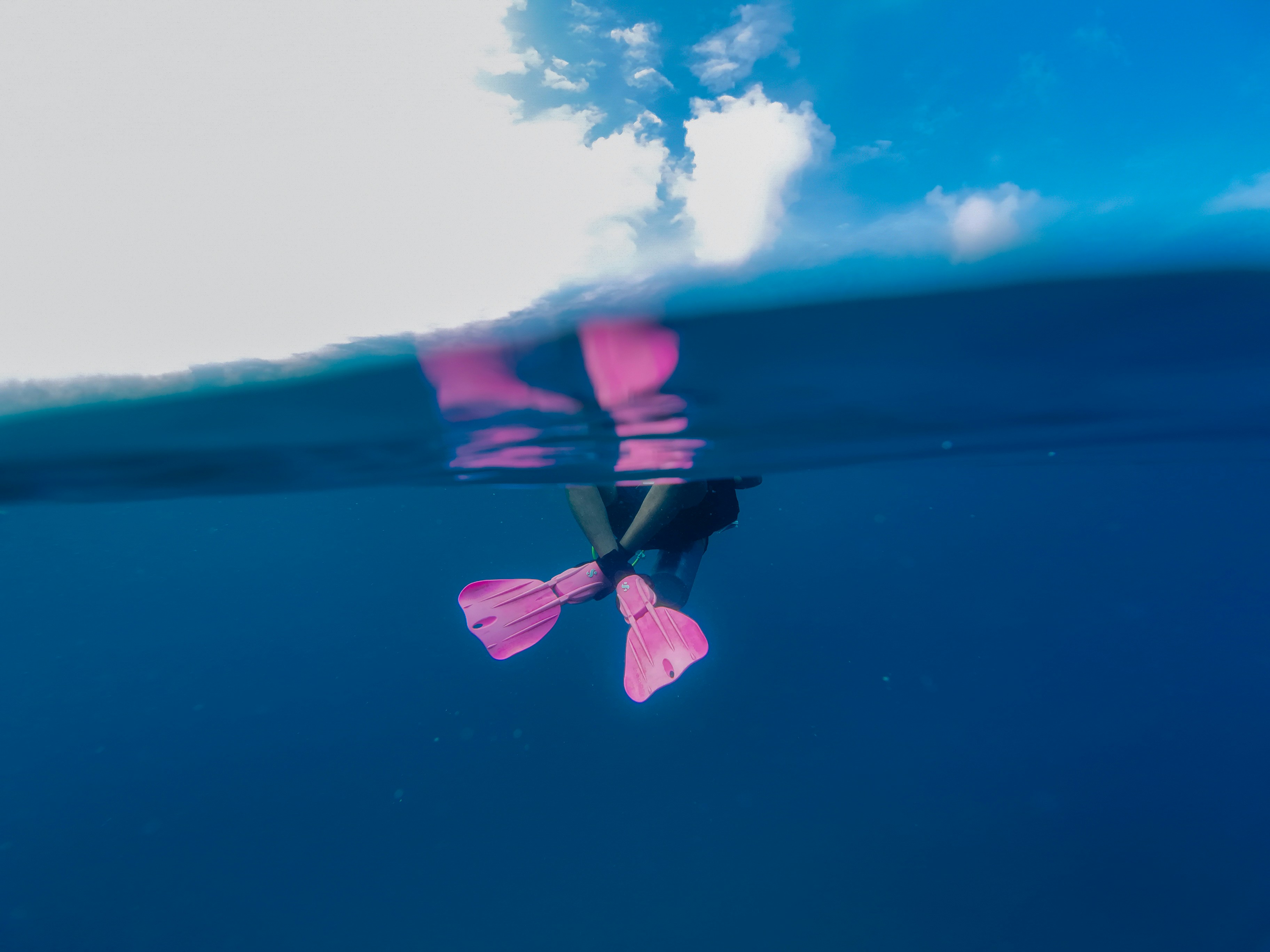 A person swims underwater with pink flippers.