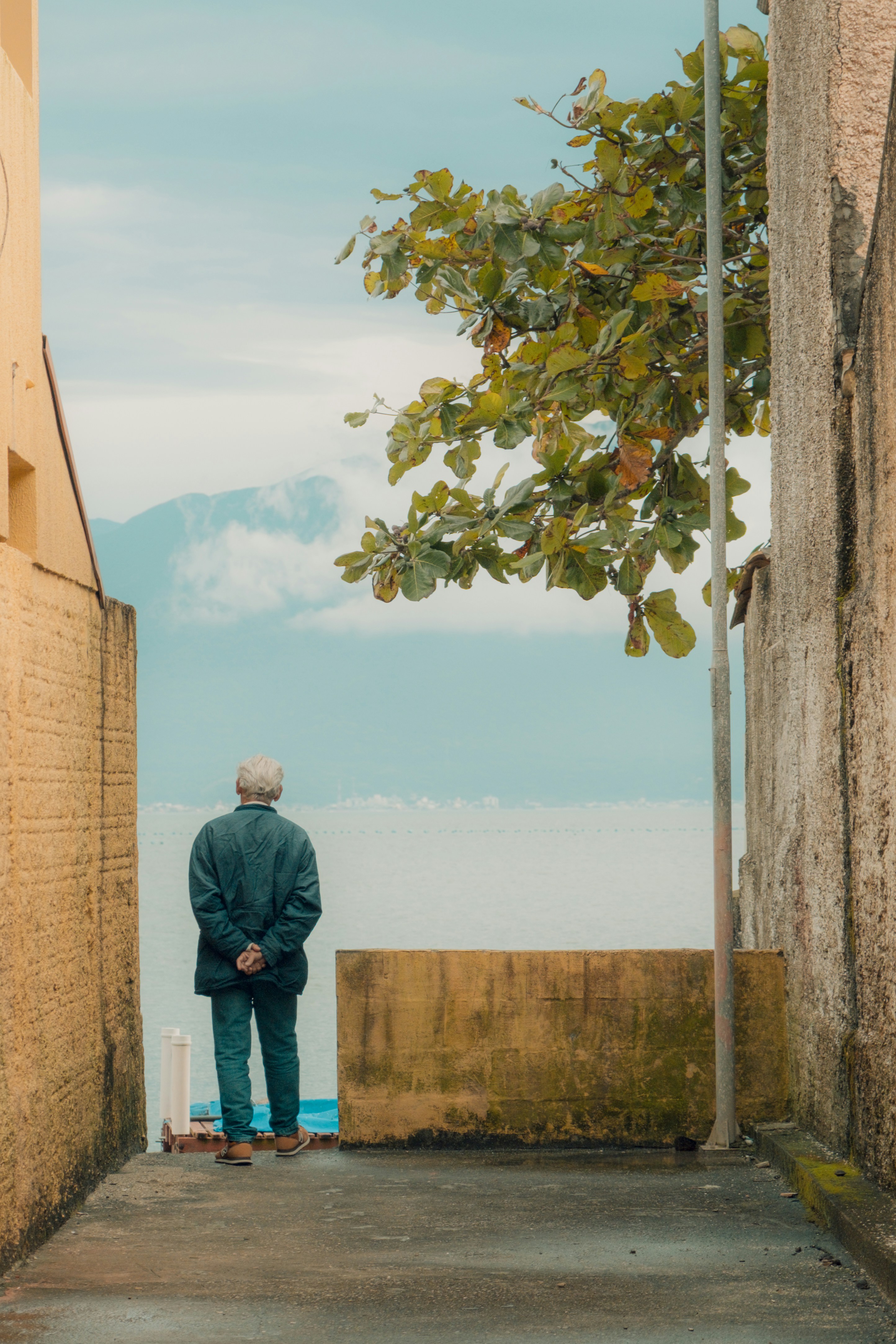 Photo by Joao Vitor Marcilio with Fujifilm X-T30