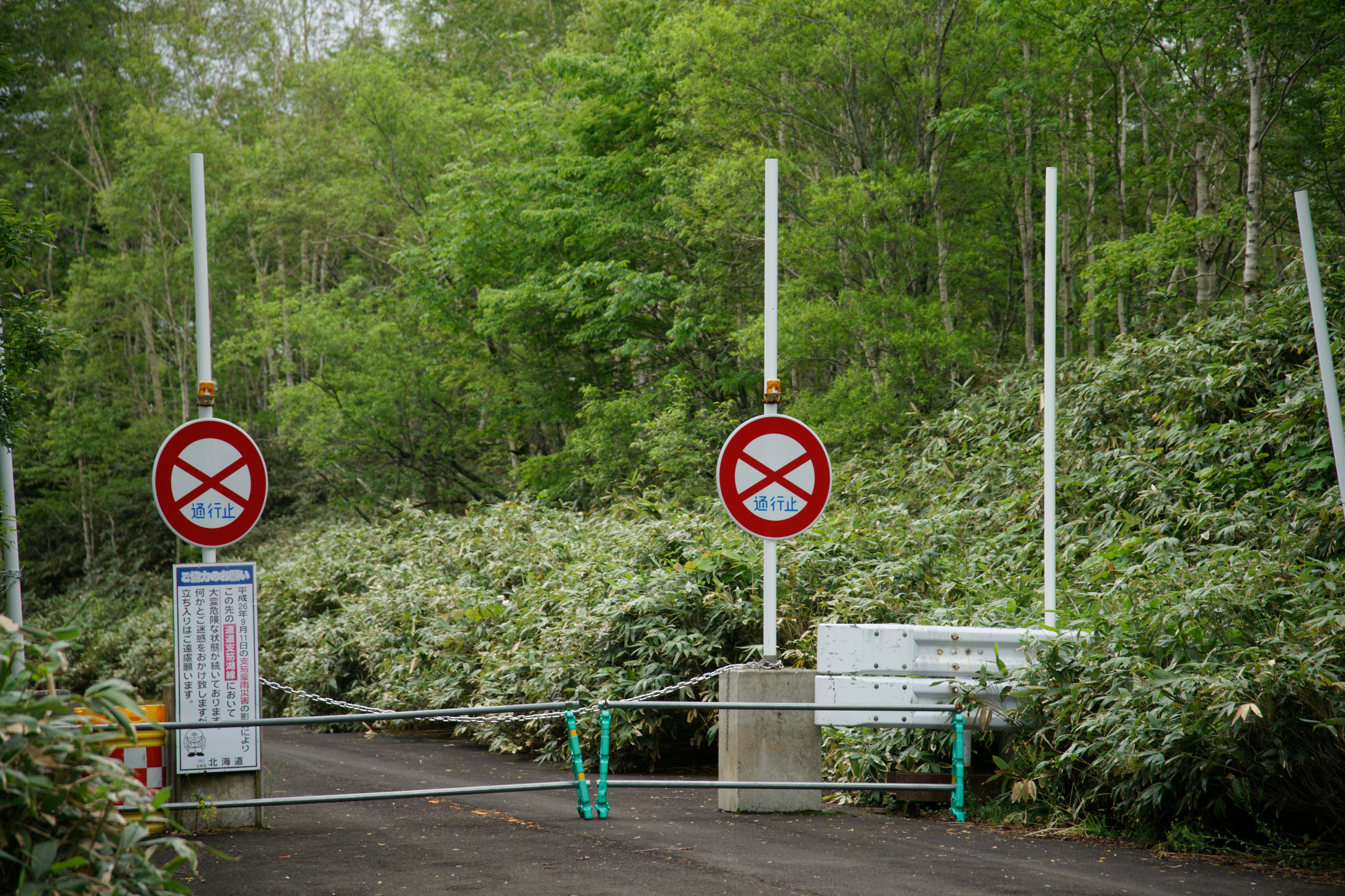 Two no-entry signs guard a closed road, surrounded by lush greenery and overgrown foliage, hinting at nature's reclaiming presence.