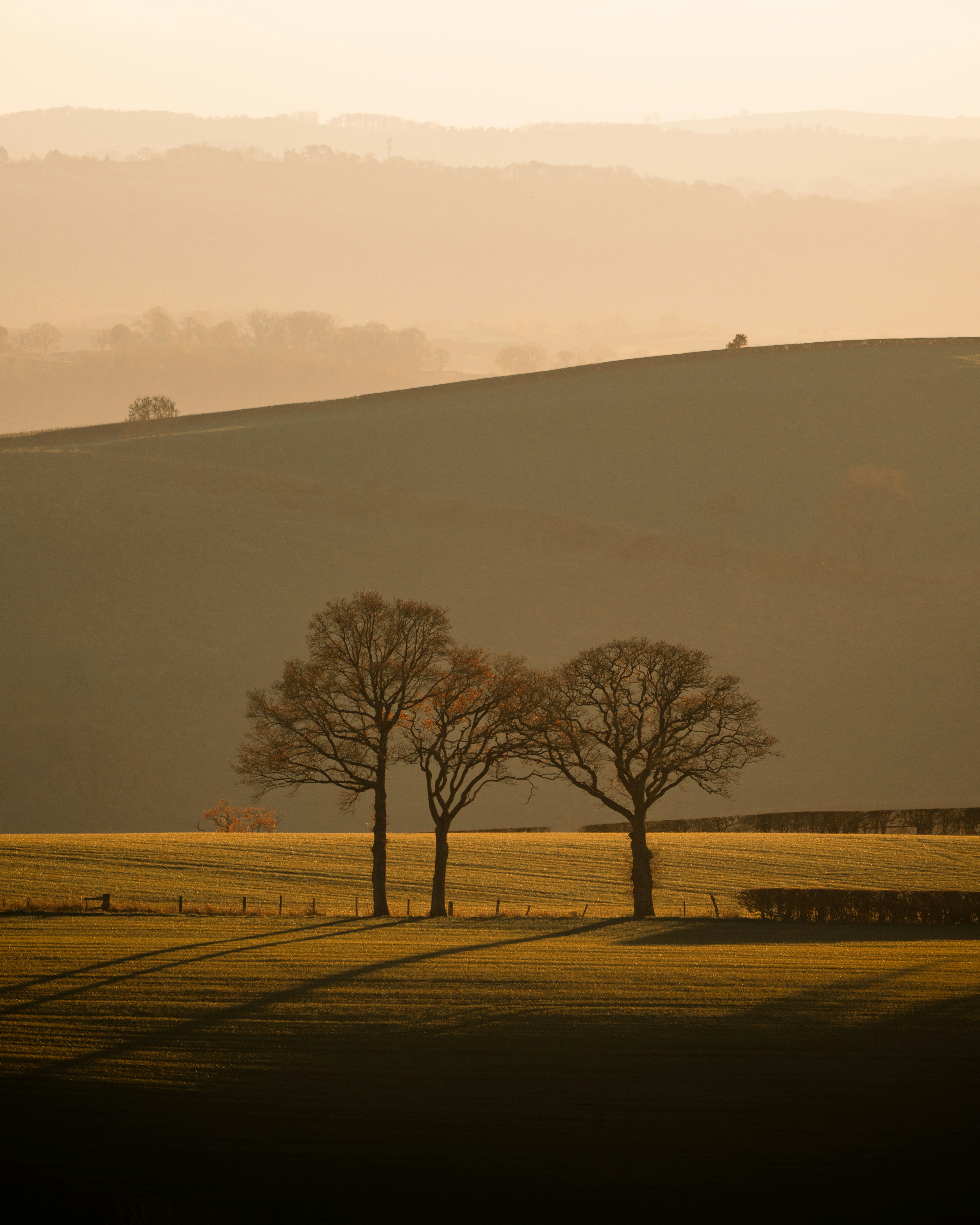 Whispers of Dusk: A Trio of Shadows