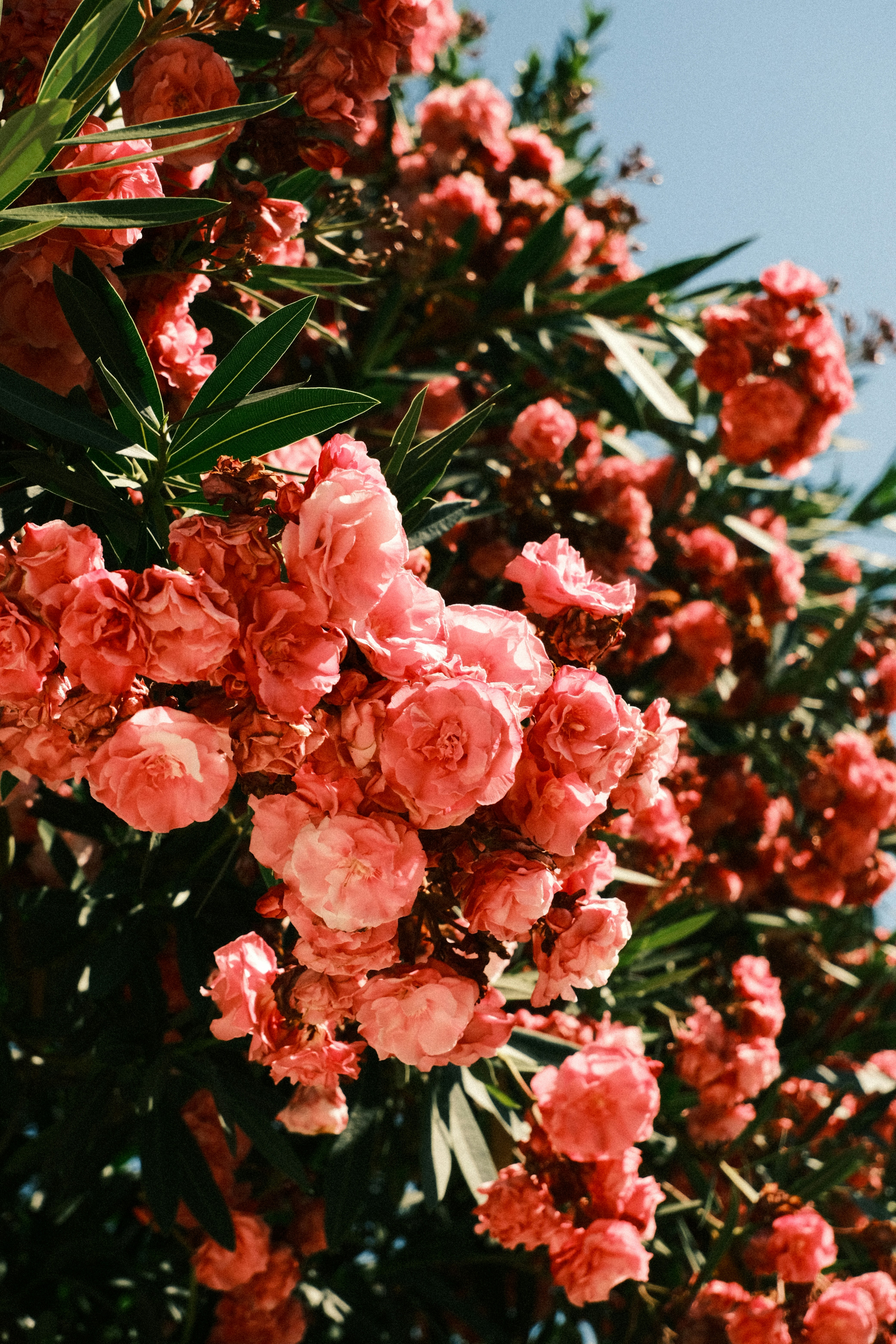 HLS 44 (@hls44) | Unsplash Photo Community
