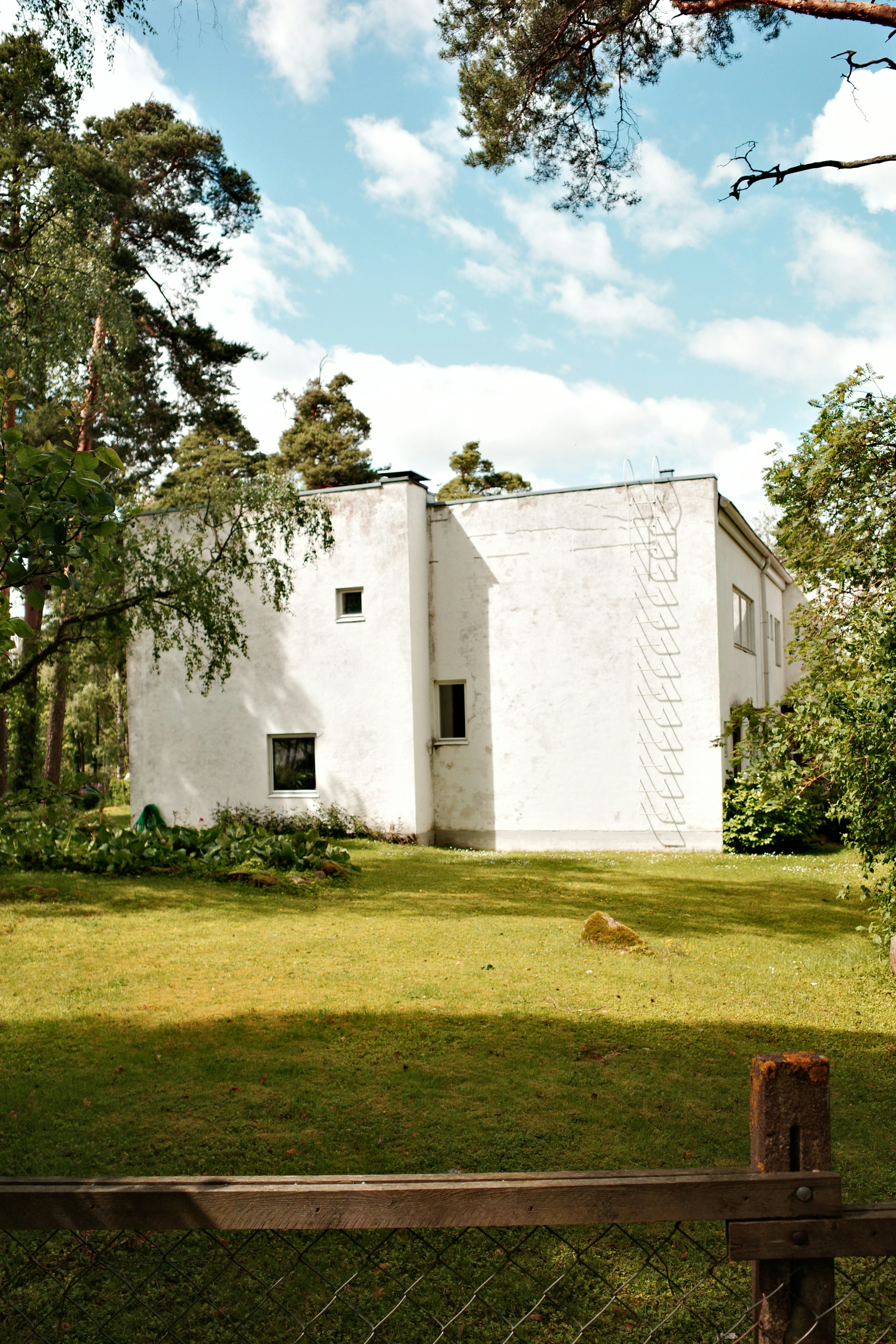 Whispers of Modernity Amidst Nature's Embrace