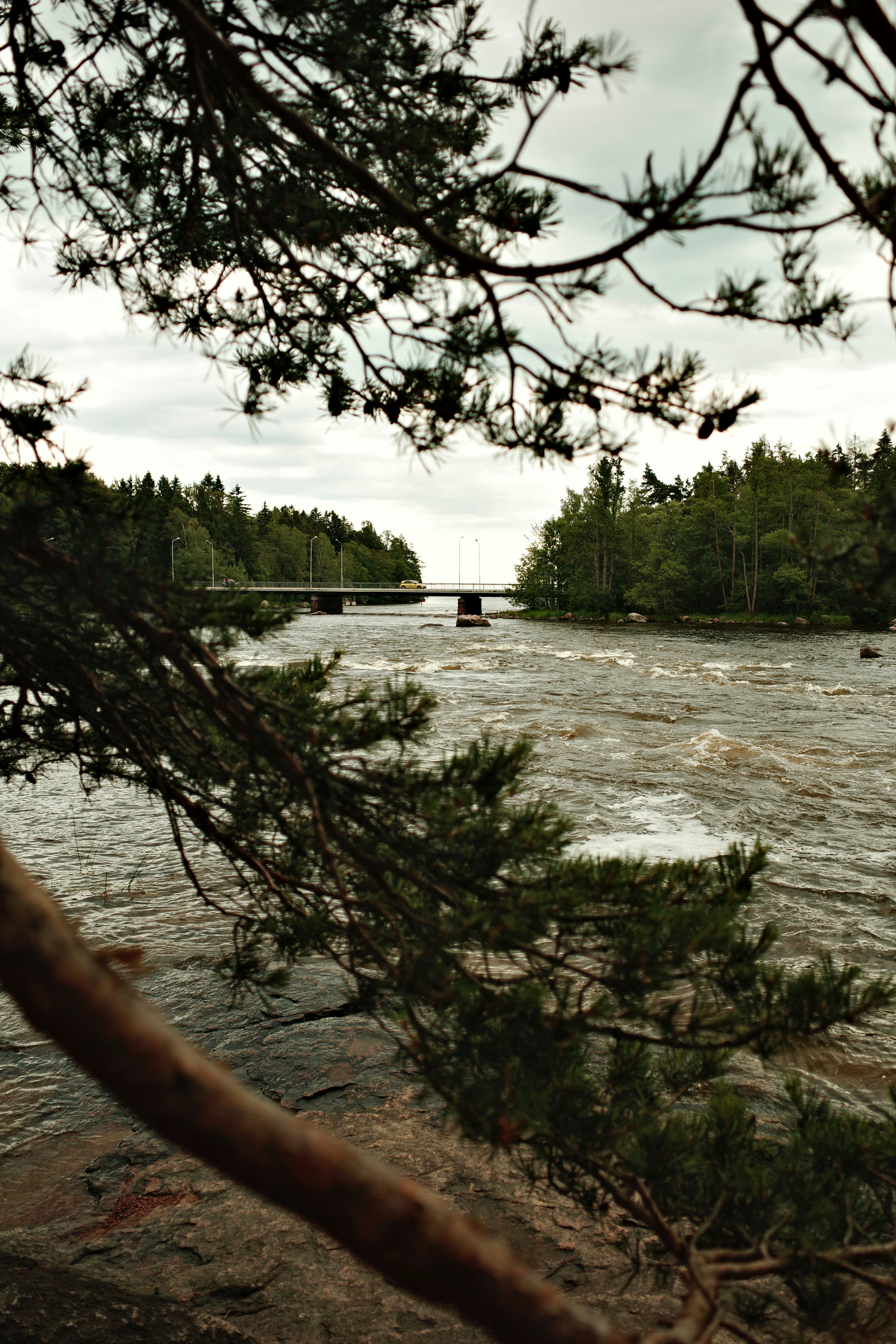 Bridging Nature and Infrastructure