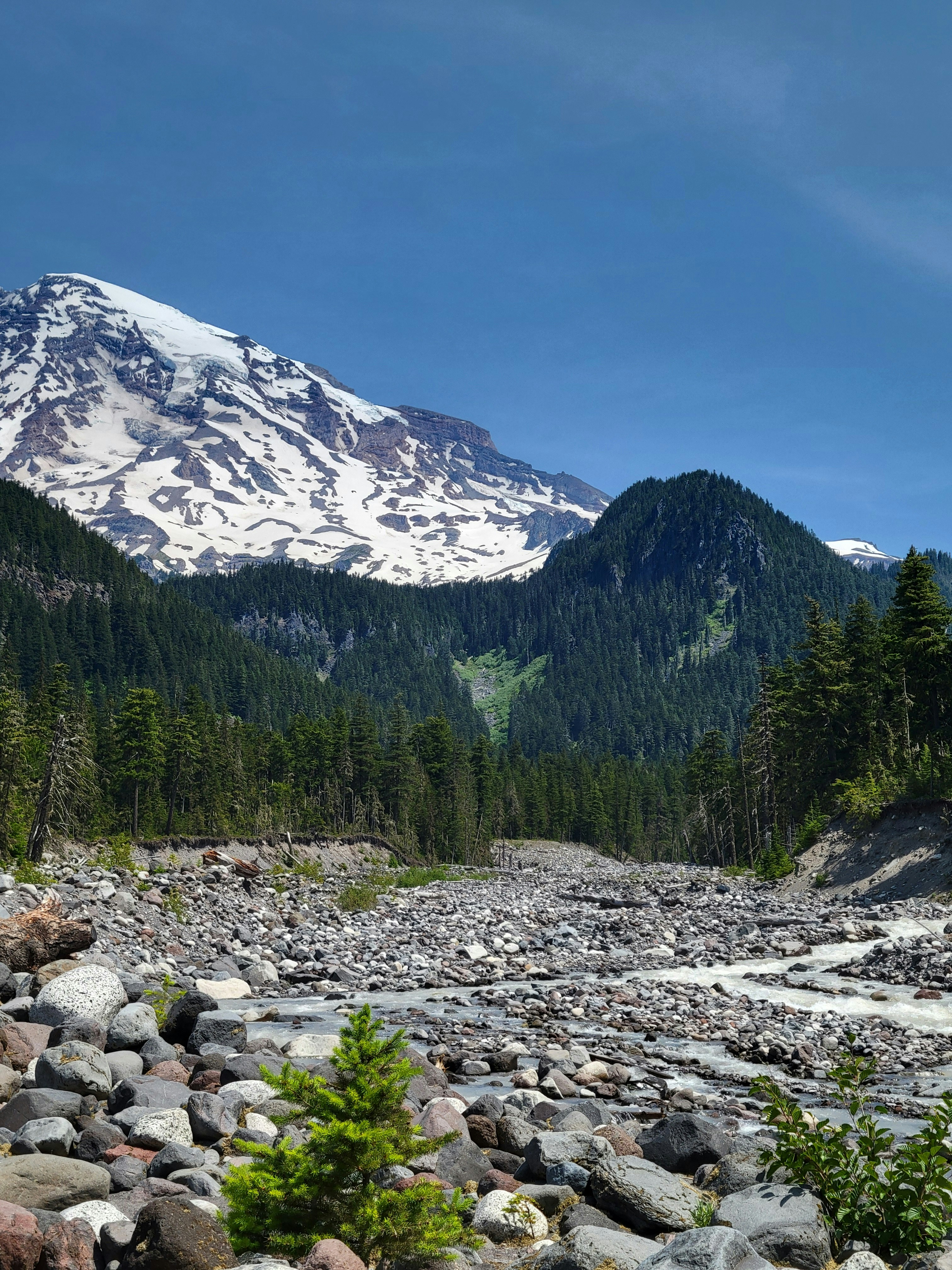 Snowy mountain dominates a lush green valley.