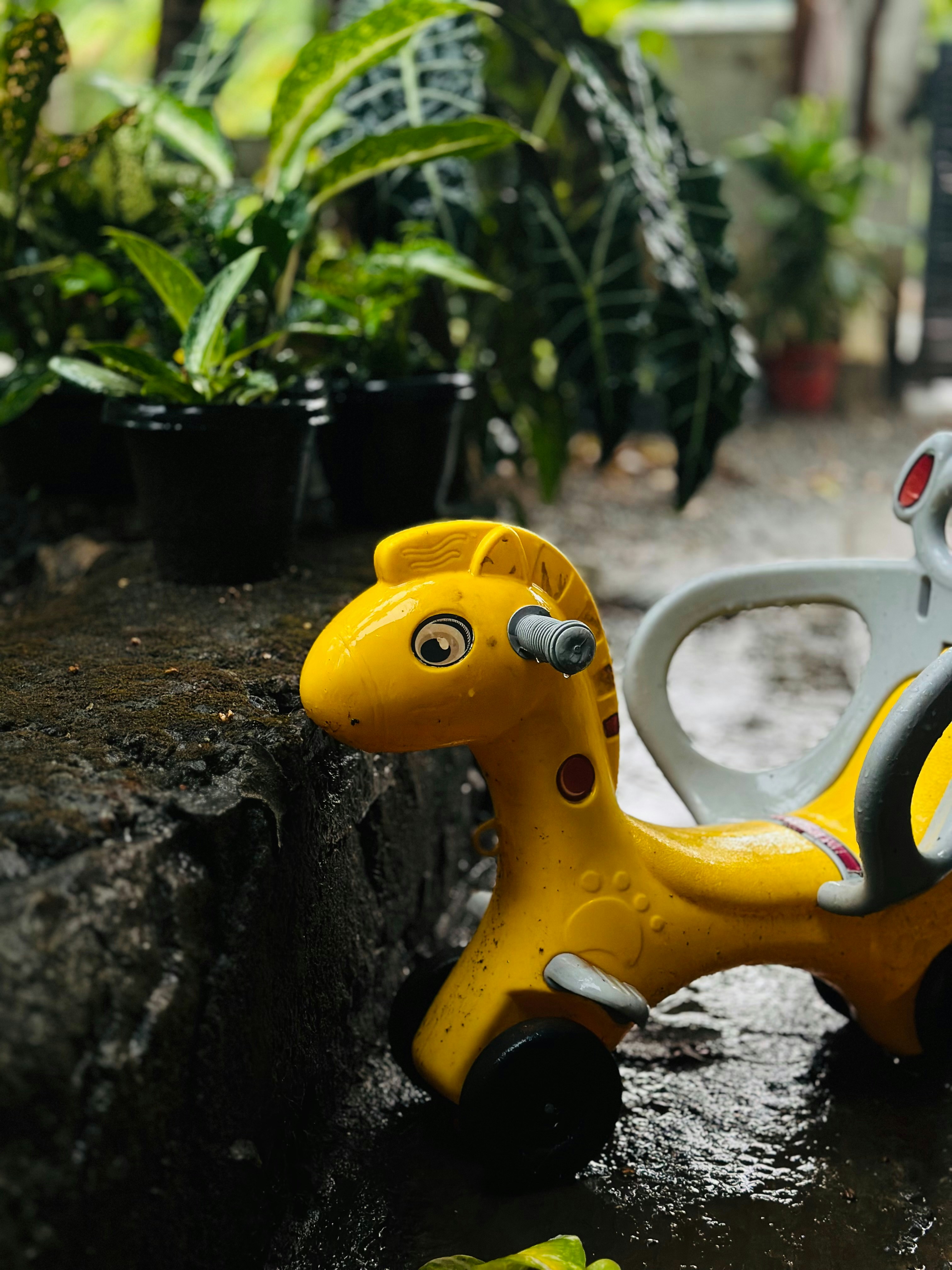 Yellow Ride-On Dino Pauses by a Rain-Washed Garden Wall
