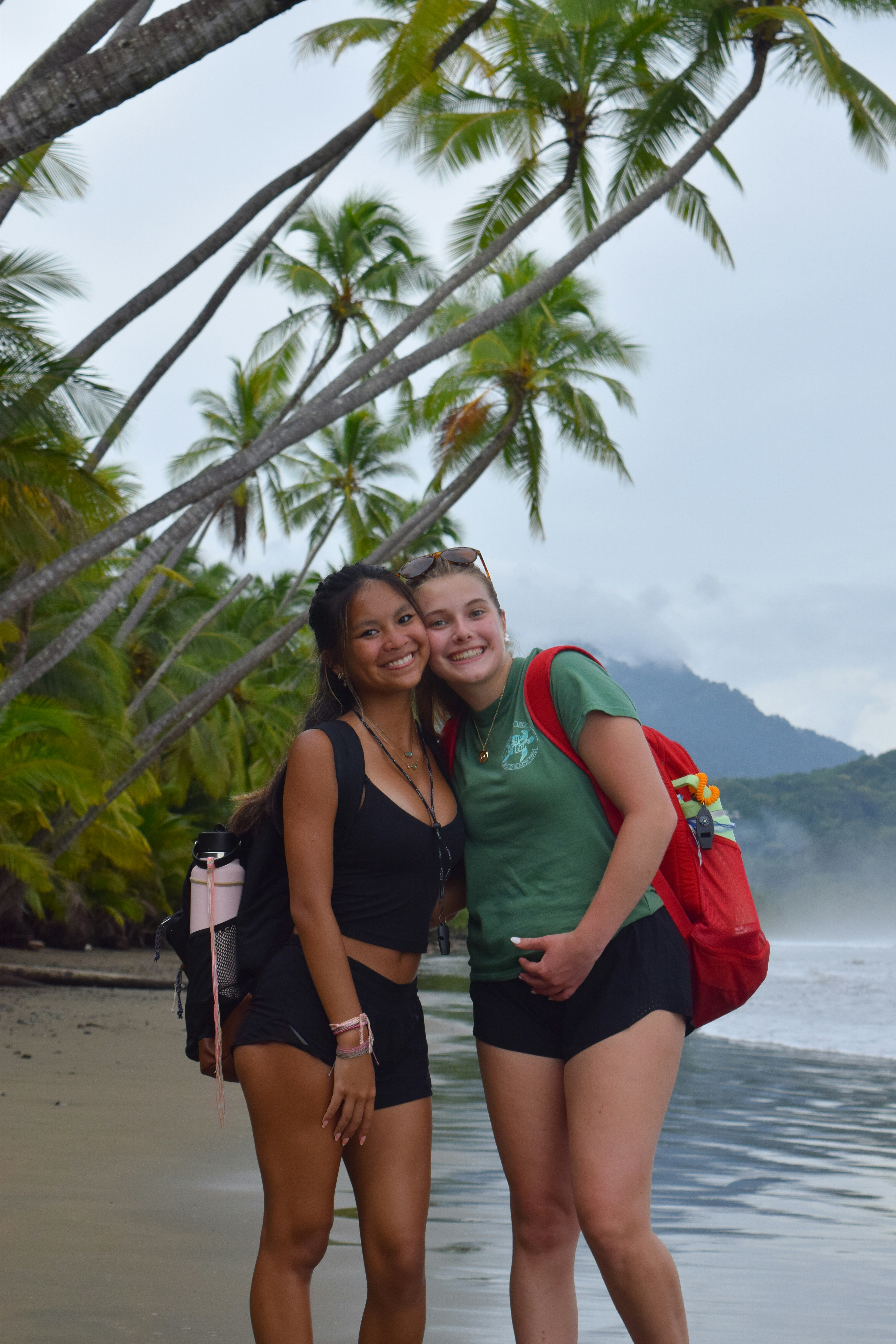 Tropical Bonds: A Day at the Beach